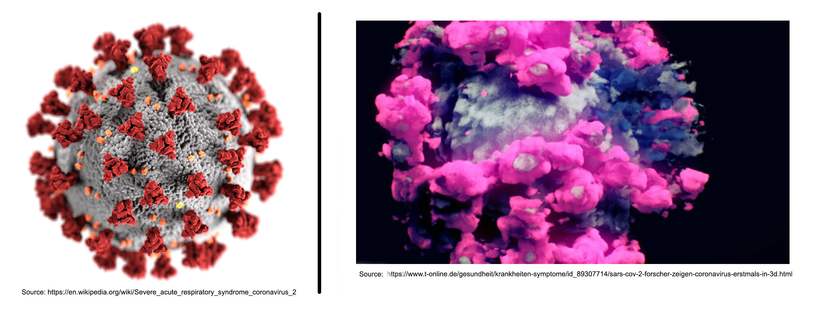 Rendering vs. Photo of a SARS-CoV-2-Virus | Scrolller