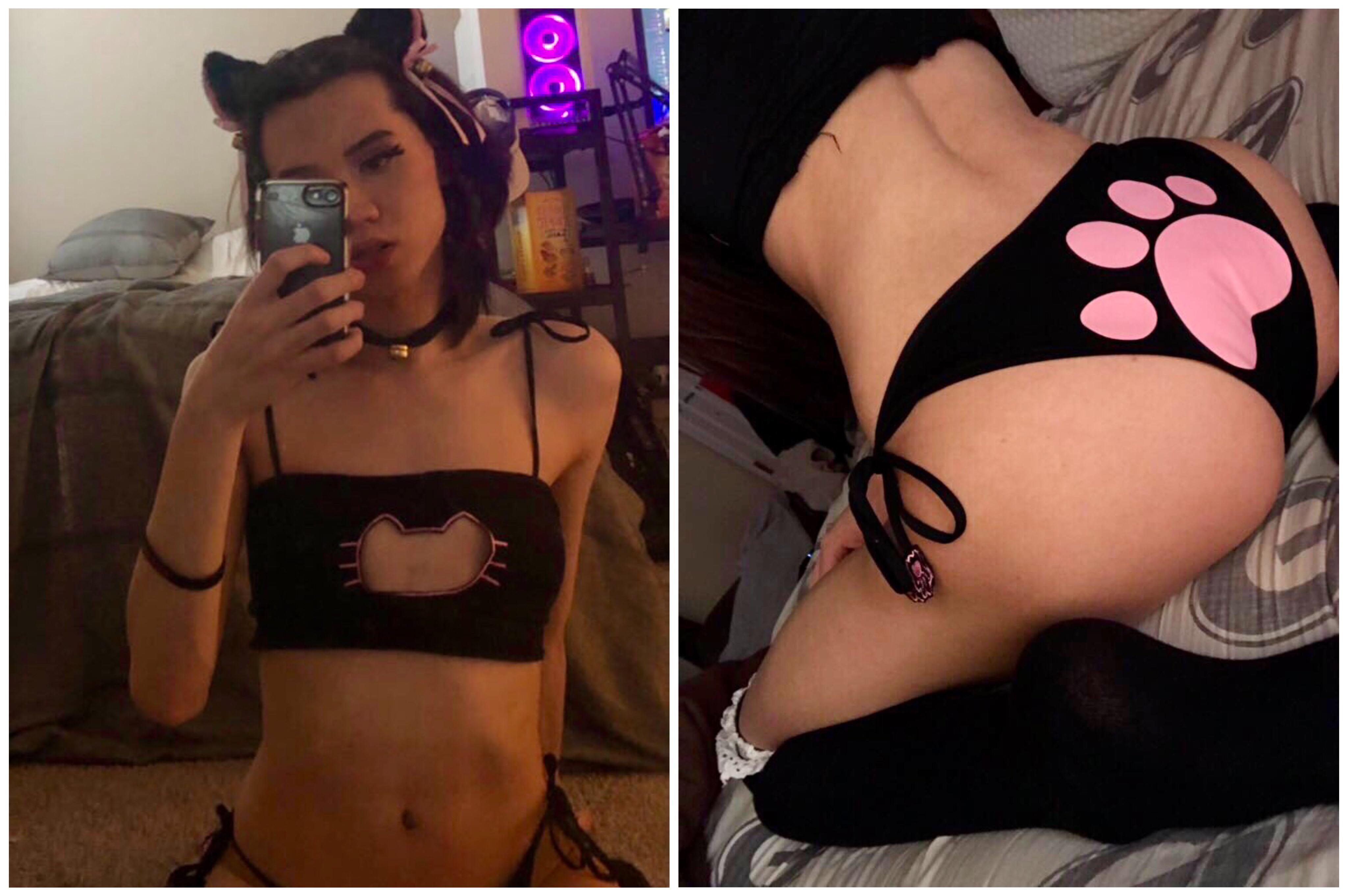 (repost) Should I bring back the cat bikini for some new posts? | Scrolller