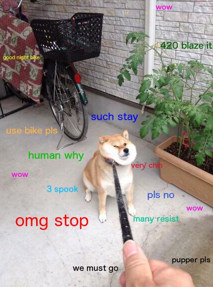 resist doge | Scrolller