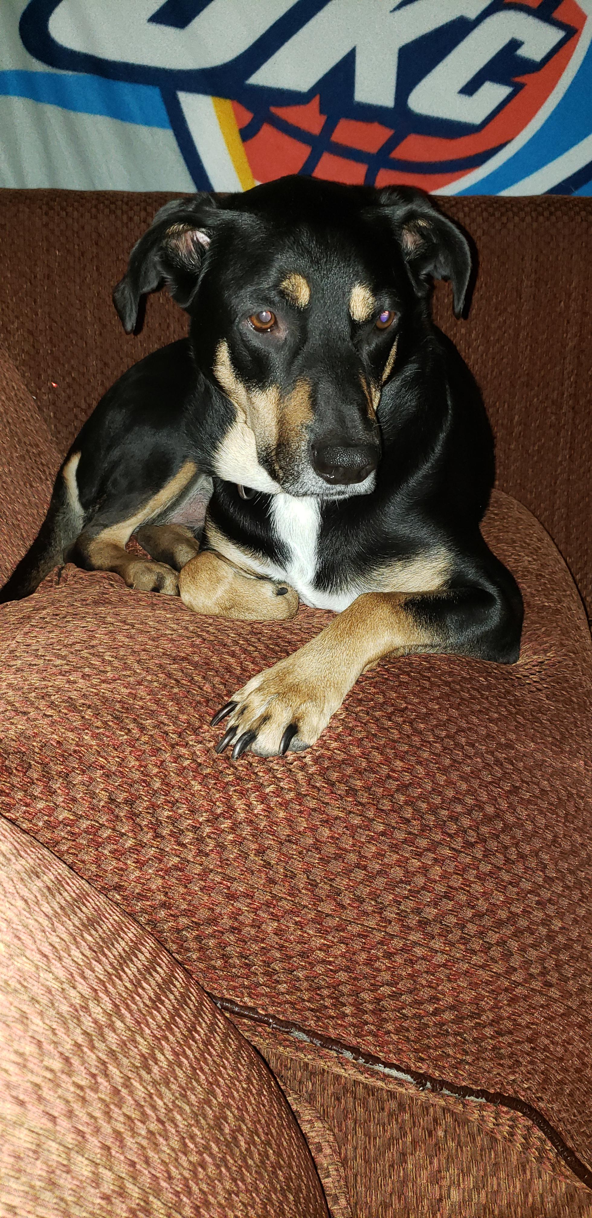 RESPECT THE ELEVATED ONE. | Scrolller