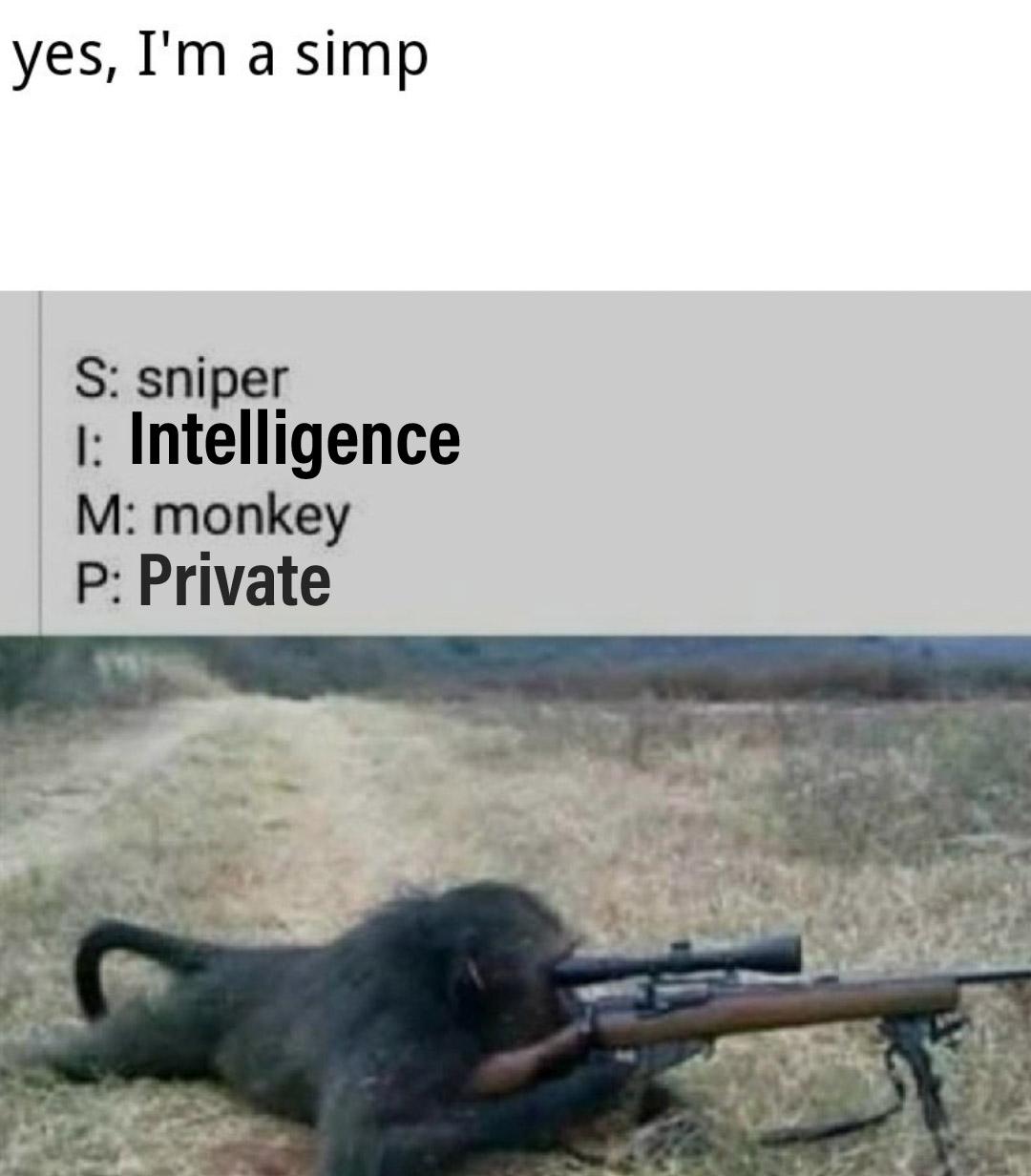 Return to monke | Scrolller