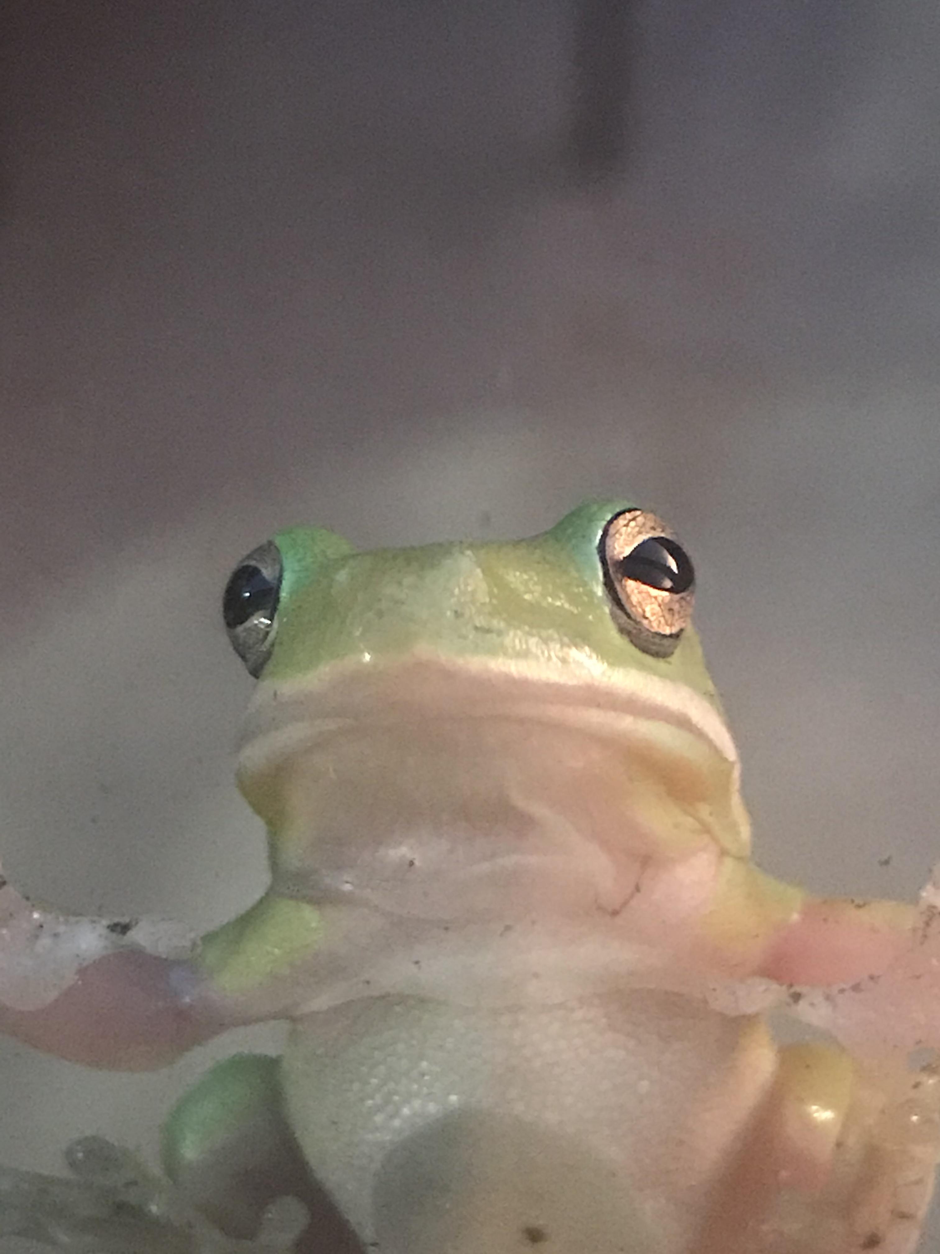 Reverse Glass | Scrolller