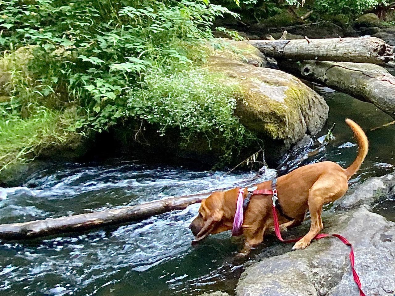 Reverse! Reverse!! | Scrolller