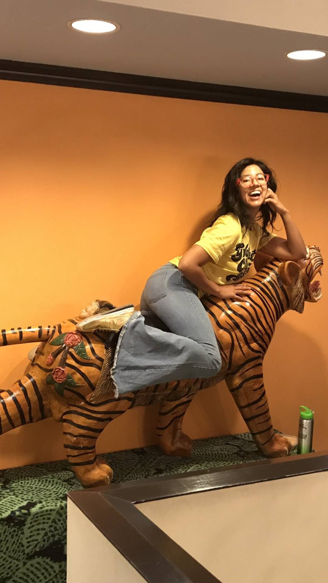 Riding a tiger | Scrolller