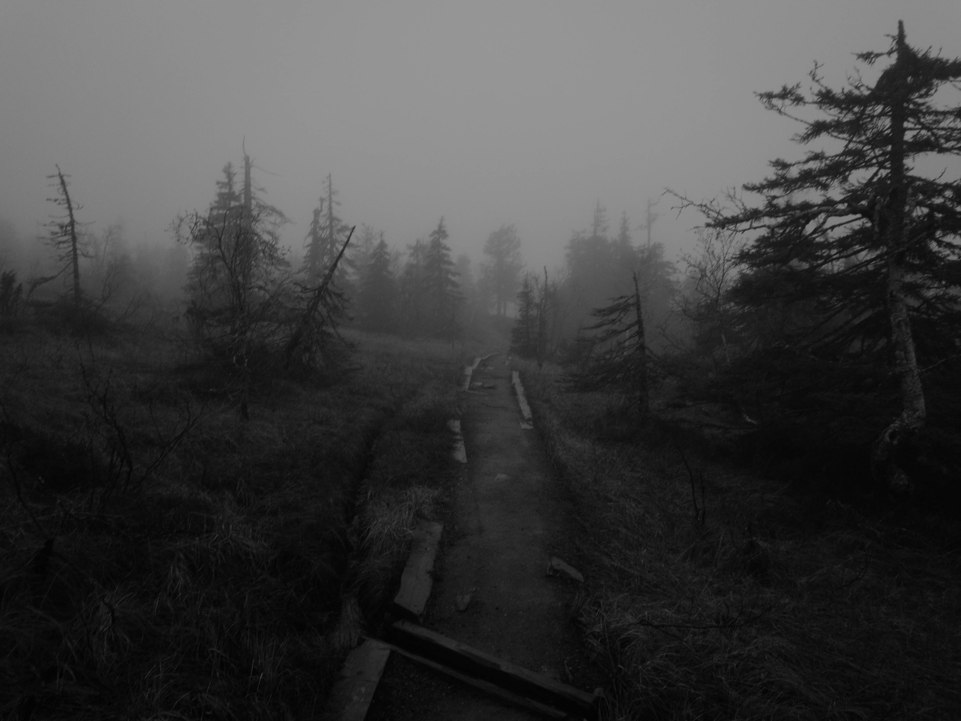 Riisitunturi on a foggy evening. | Scrolller