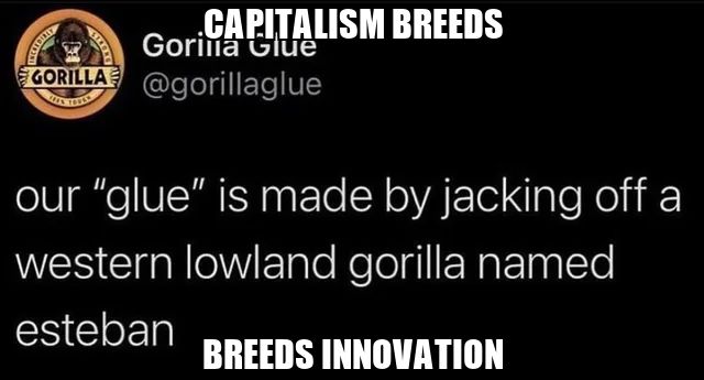 rip harambe | Scrolller