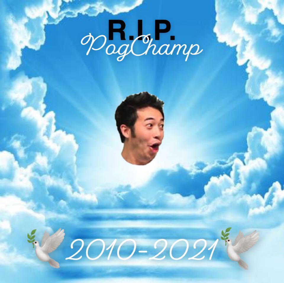 rip PogChamp. You will be missed forever. Fly high 🕊 | Scrolller