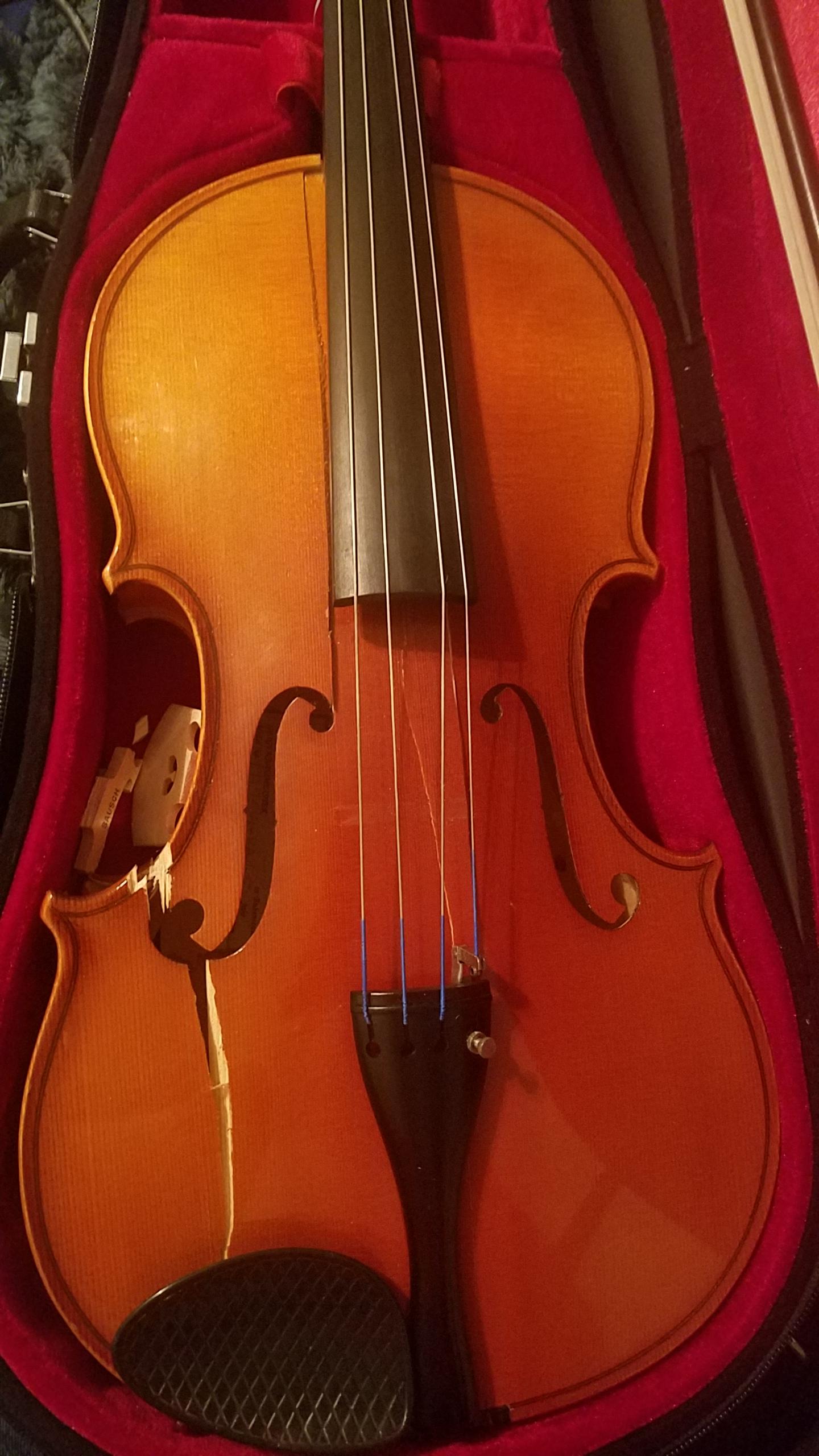 RIP Viola 1992-2018 | Scrolller