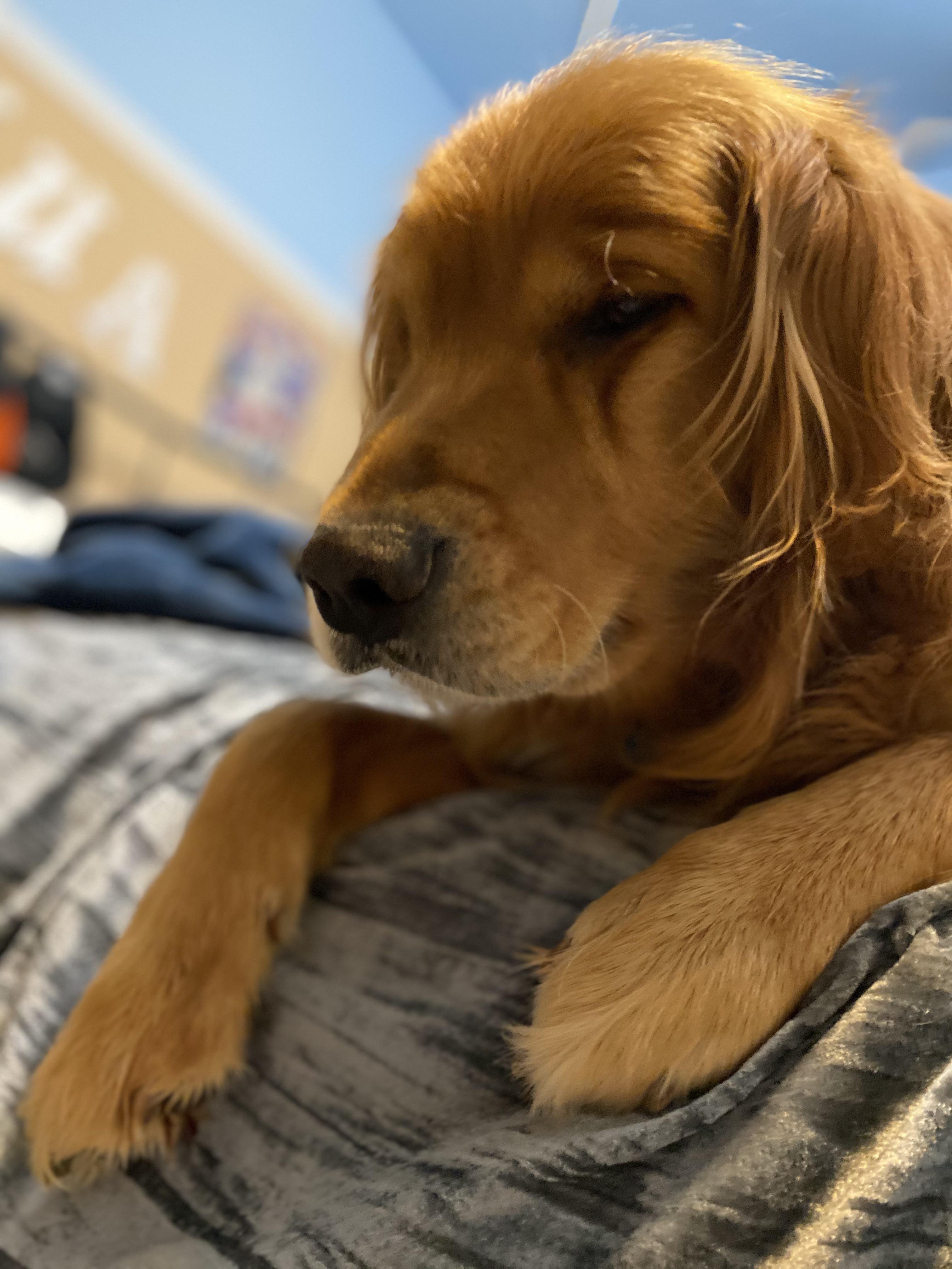 Rise and shine Mr squish! | Scrolller