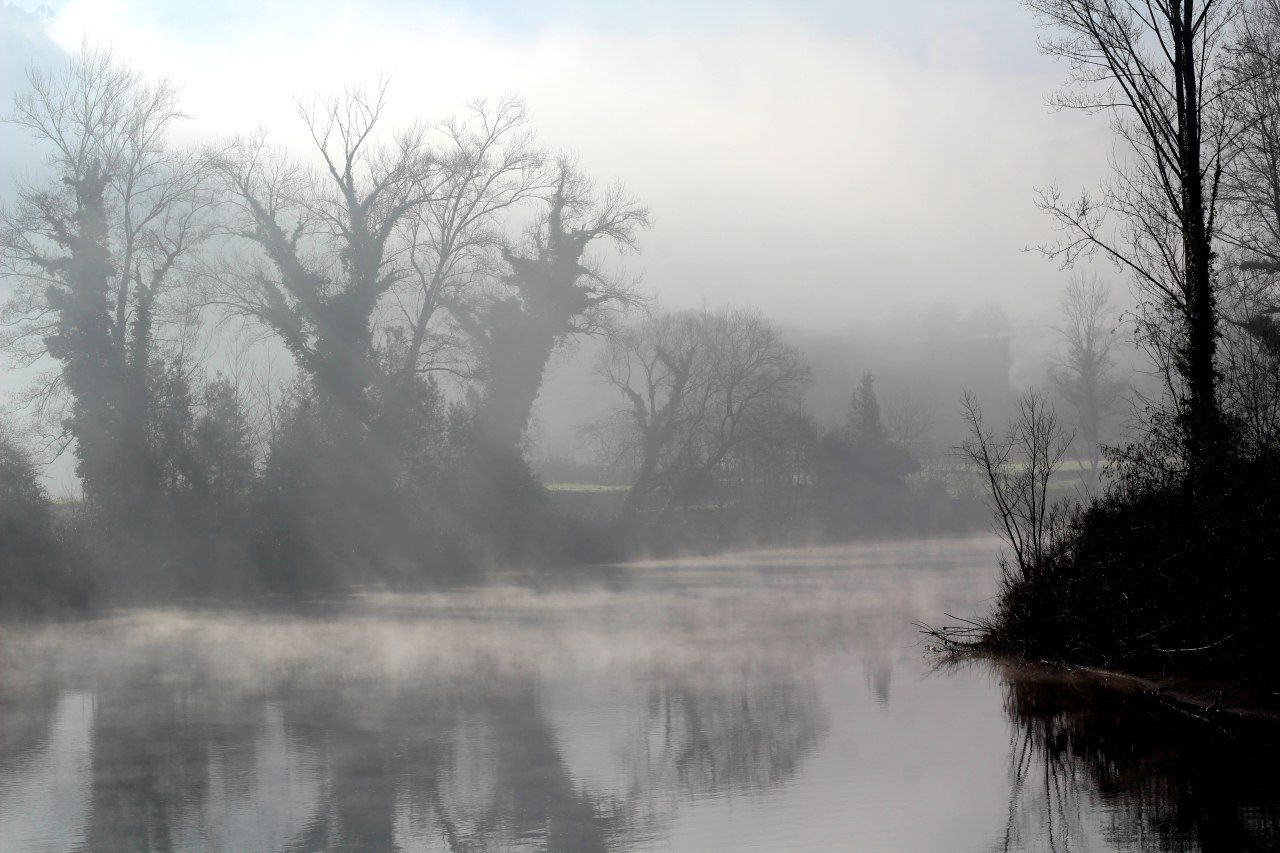 River, Fog and forest. Trubia, Spain | Scrolller
