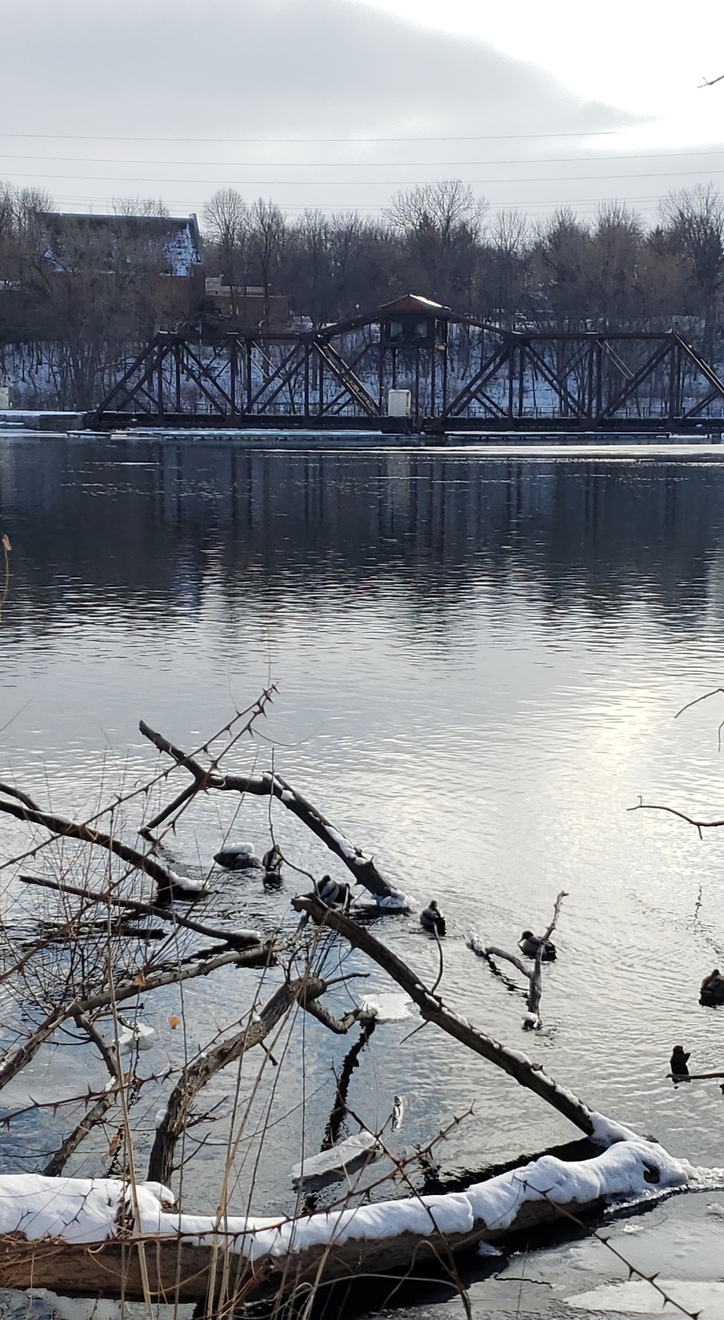 River Vibes | Scrolller