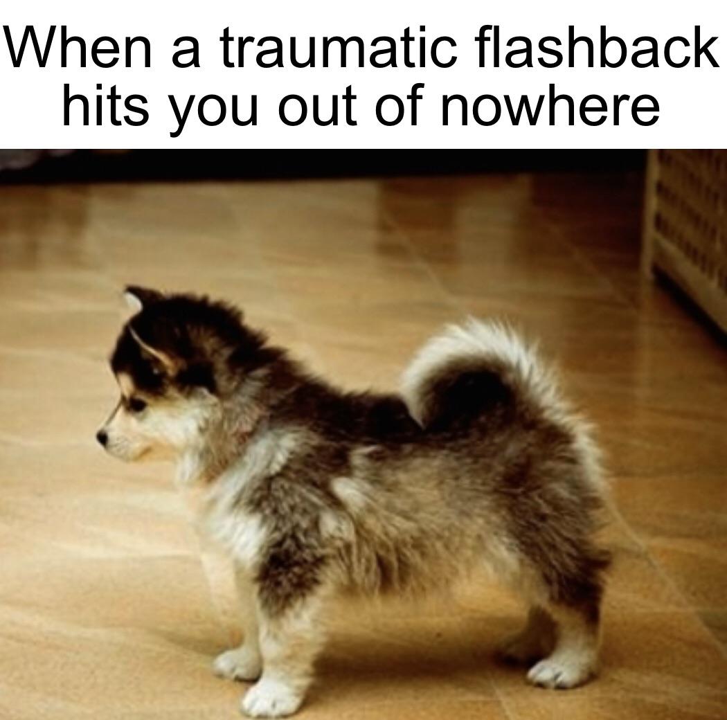 Rko outta nowhere | Scrolller