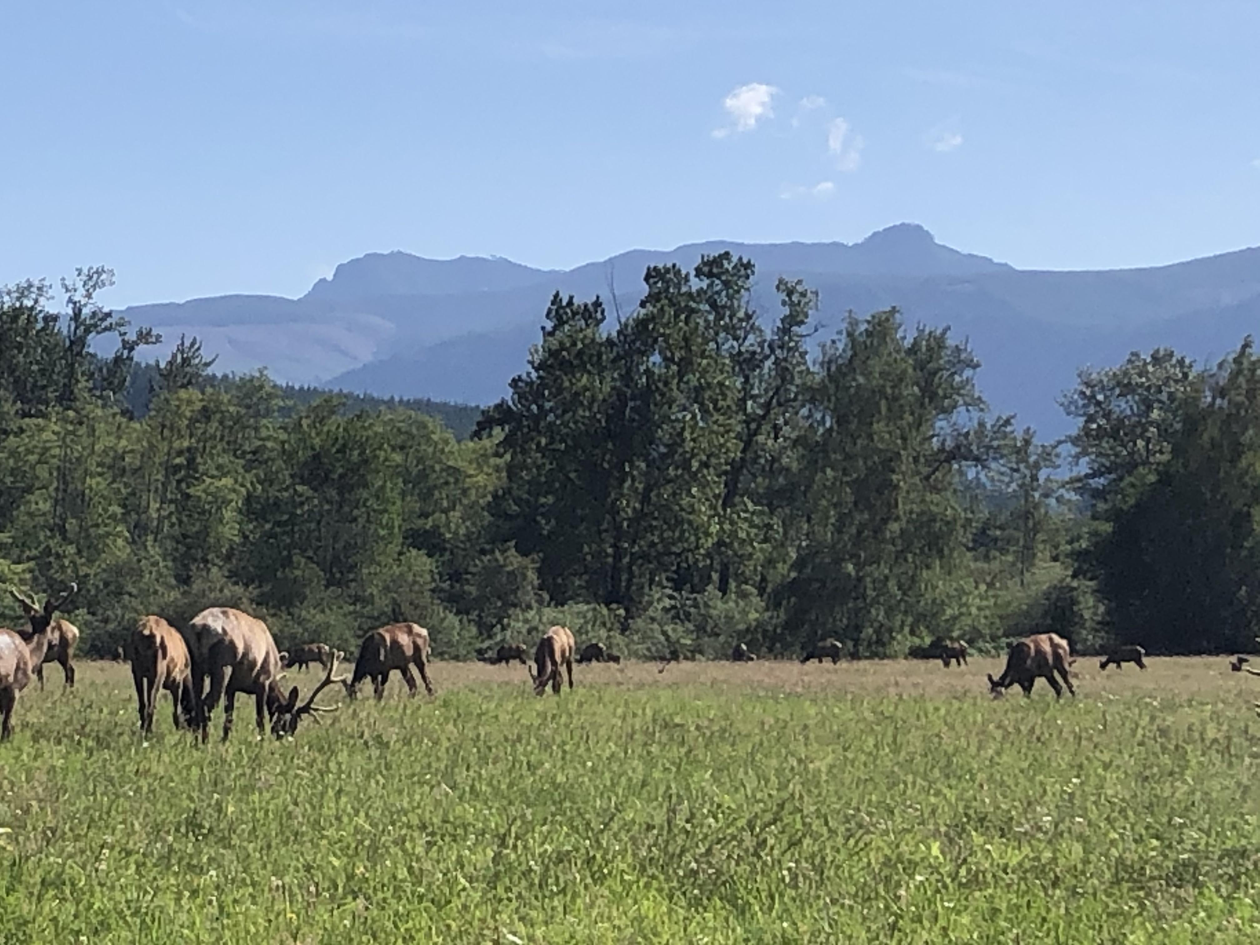 Roadside attraction | Scrolller