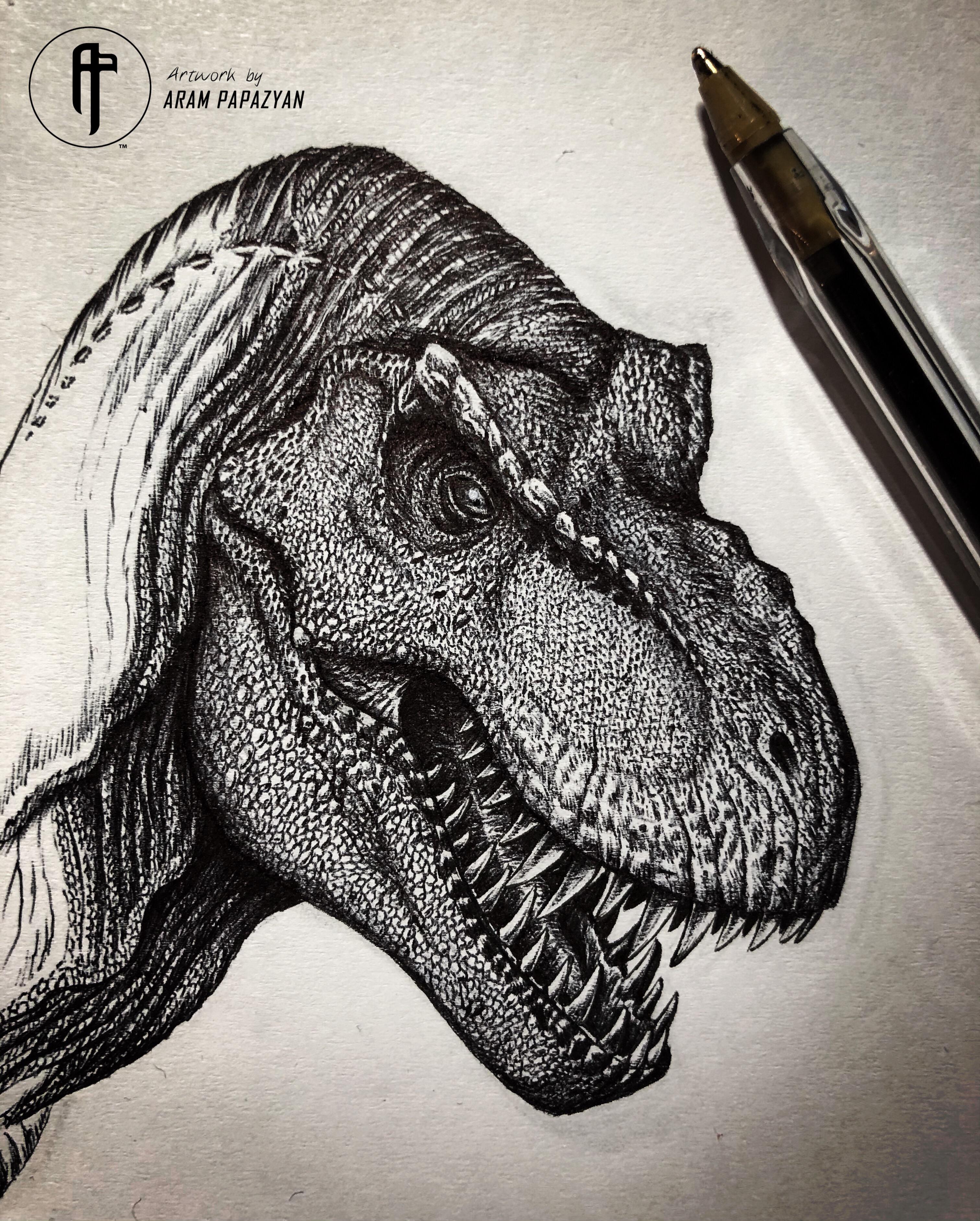 Roberta ballpoint pen drawing WIP. | Scrolller