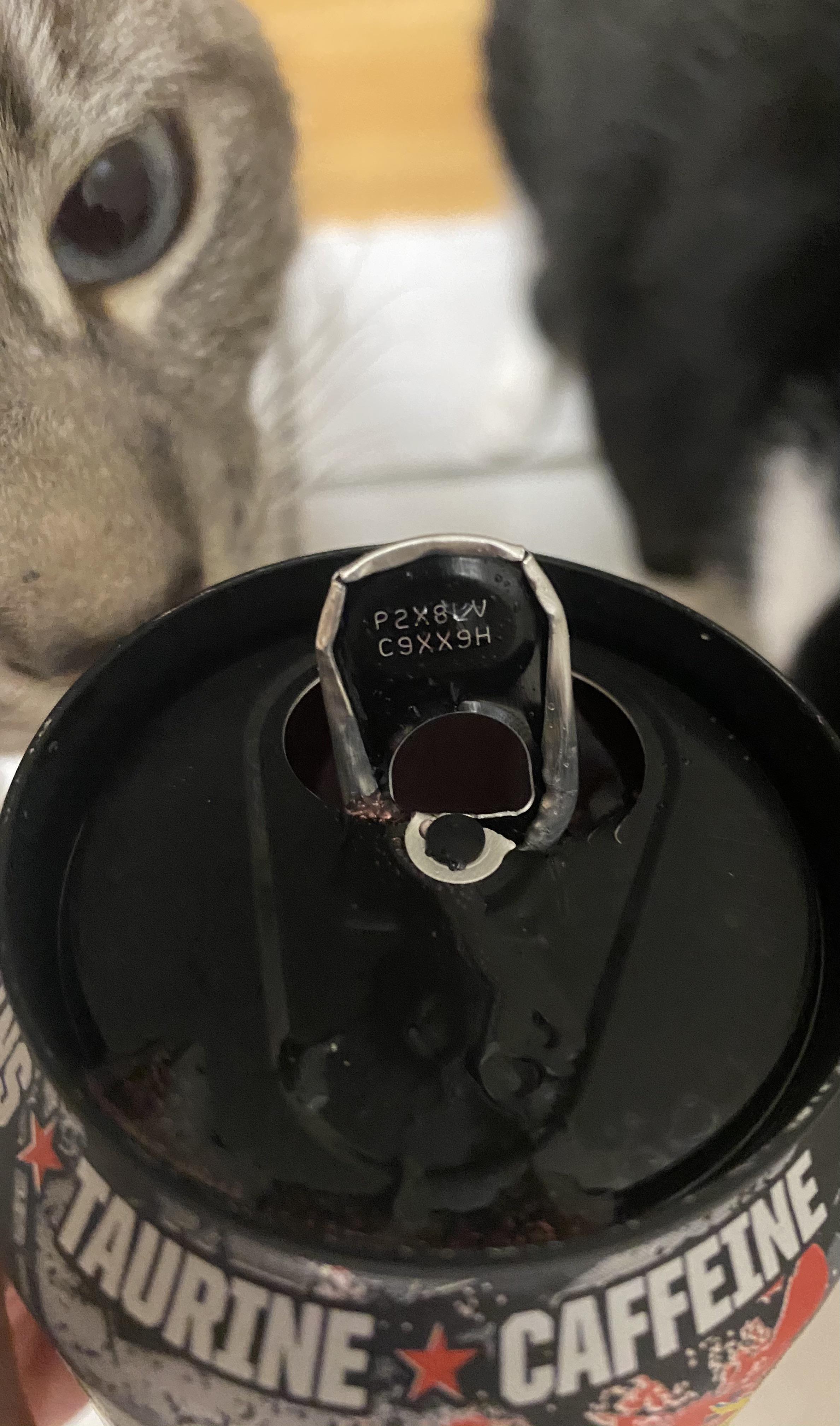 Rockstar Punched 2077 free morning code! | Scrolller