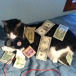 Rolling in the Stacks | Scrolller