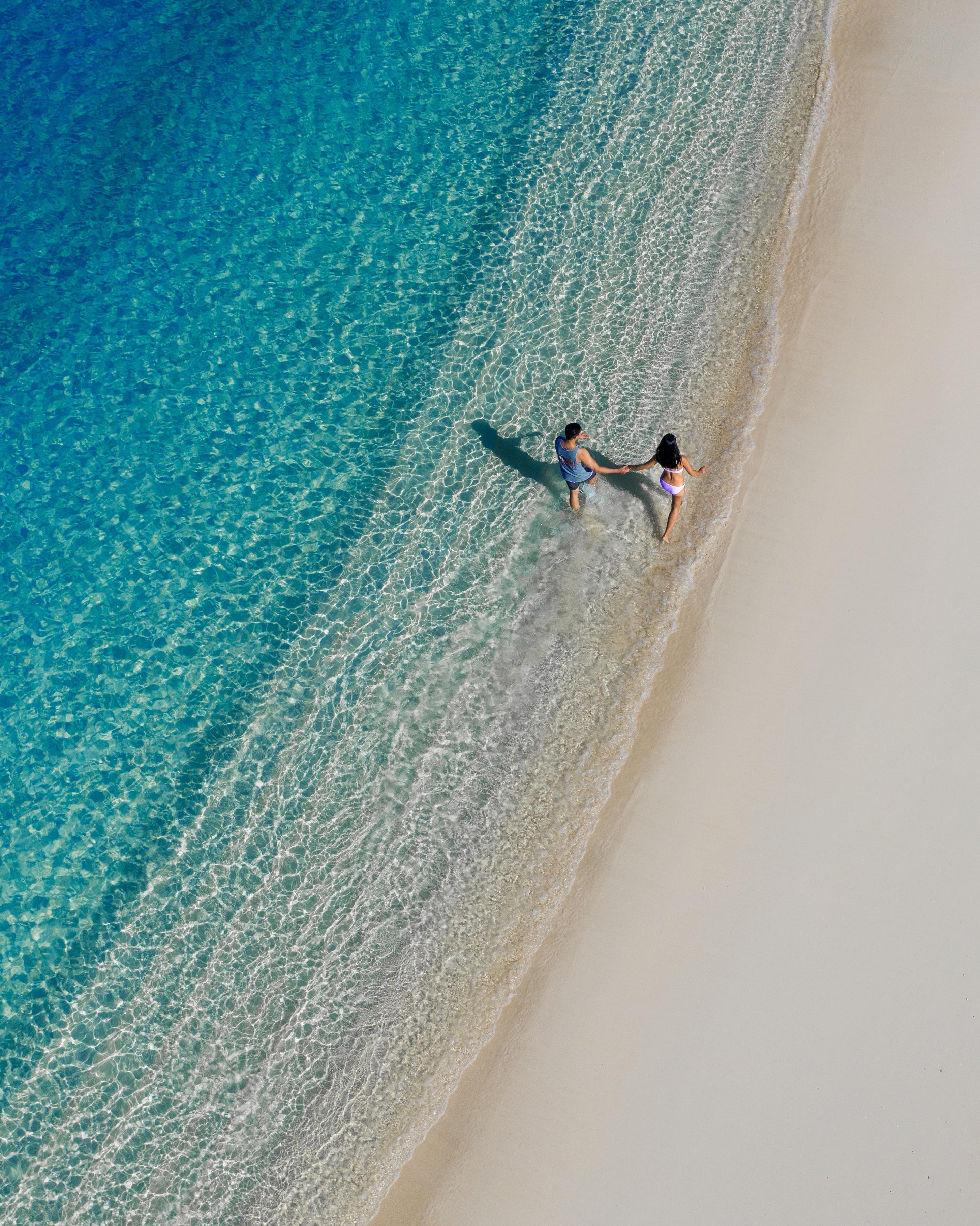 Romance in Paradise | Scrolller