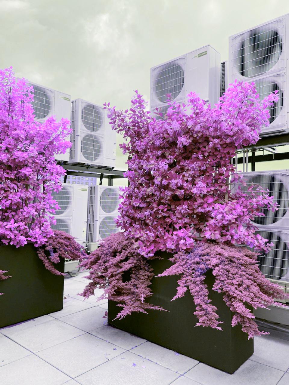 Rooftop of apartment complex | Scrolller