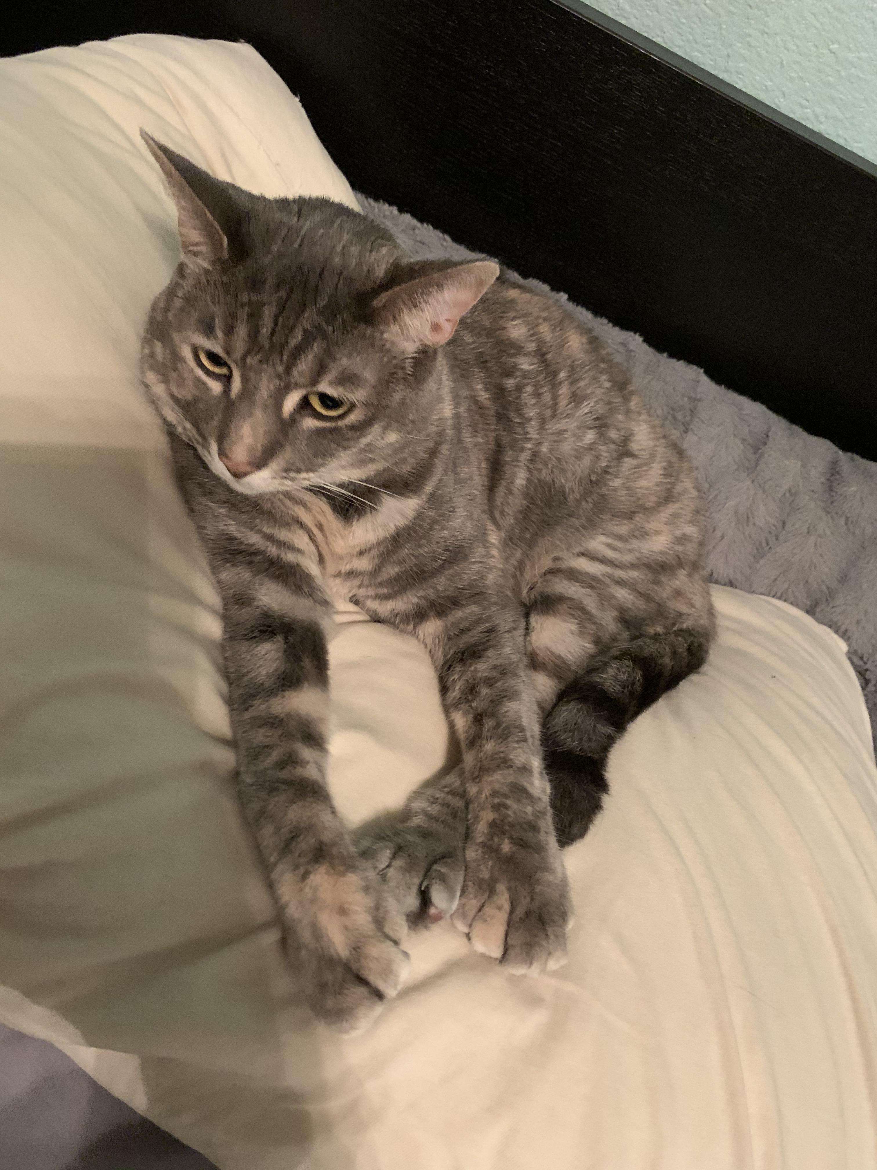 Roseberry has blessed her adoring audience with her 💯 toes | Scrolller