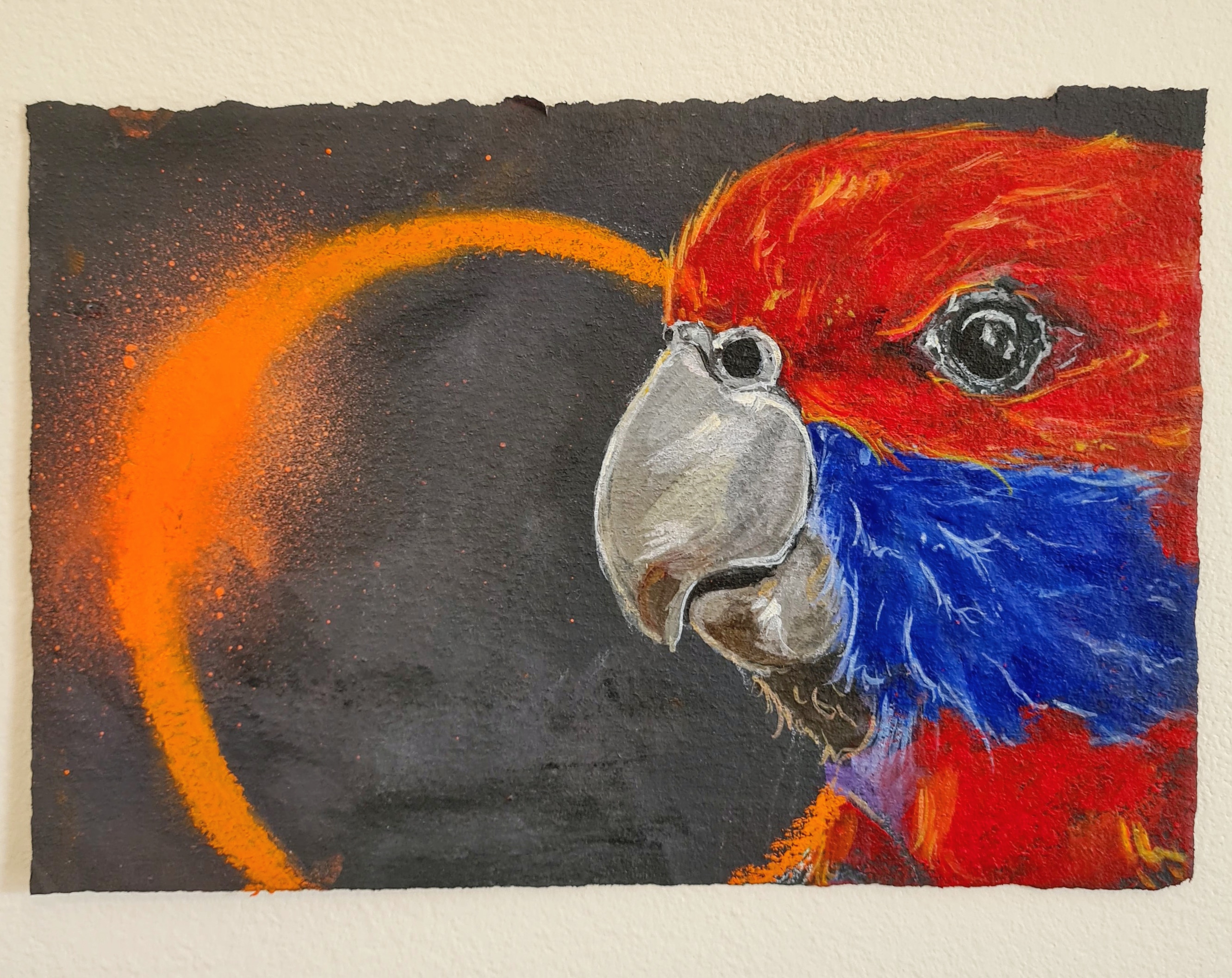 Rosella. Acrylic and Spray | Scrolller