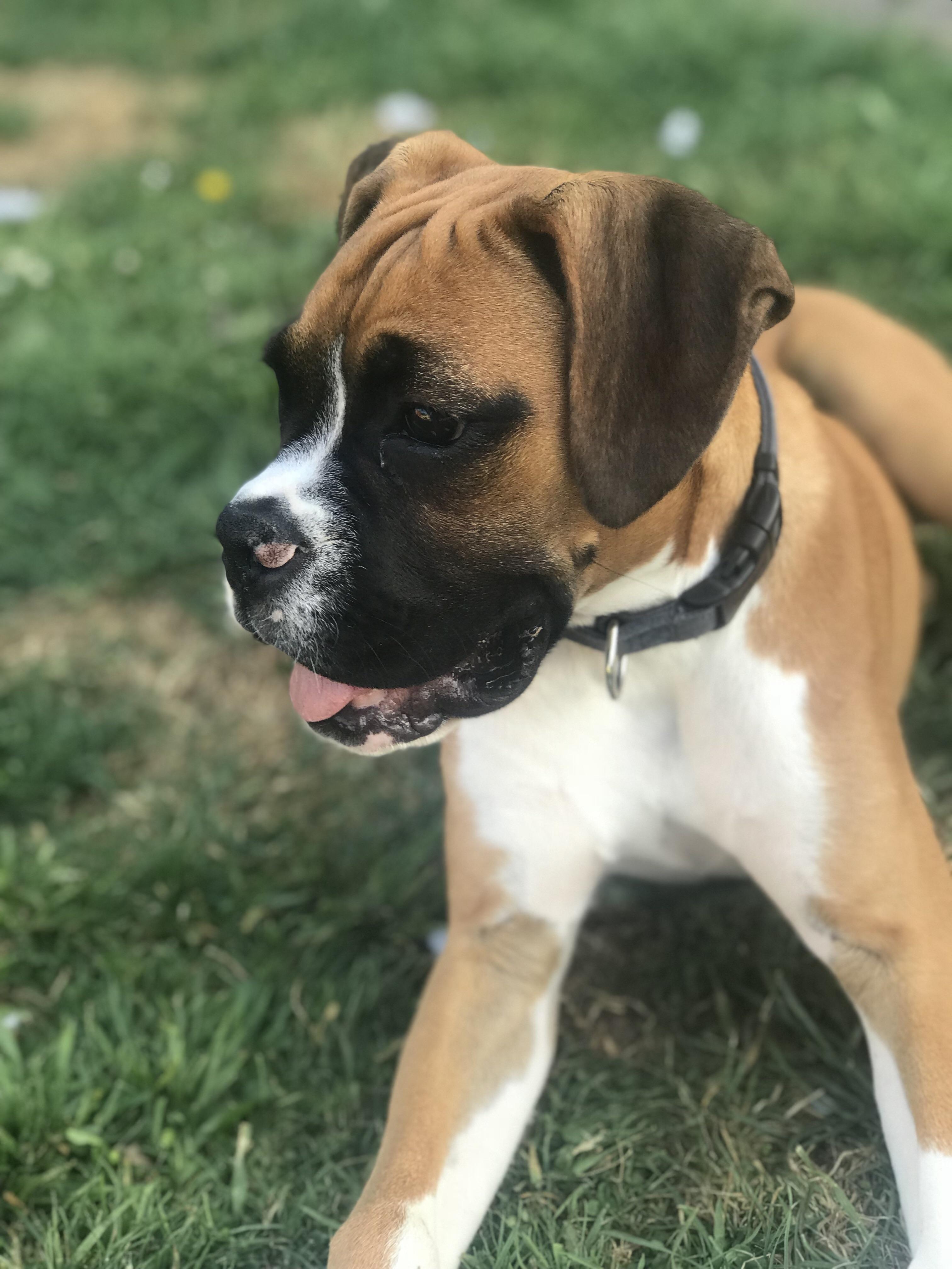 Ruby: looking gorgeous | Scrolller