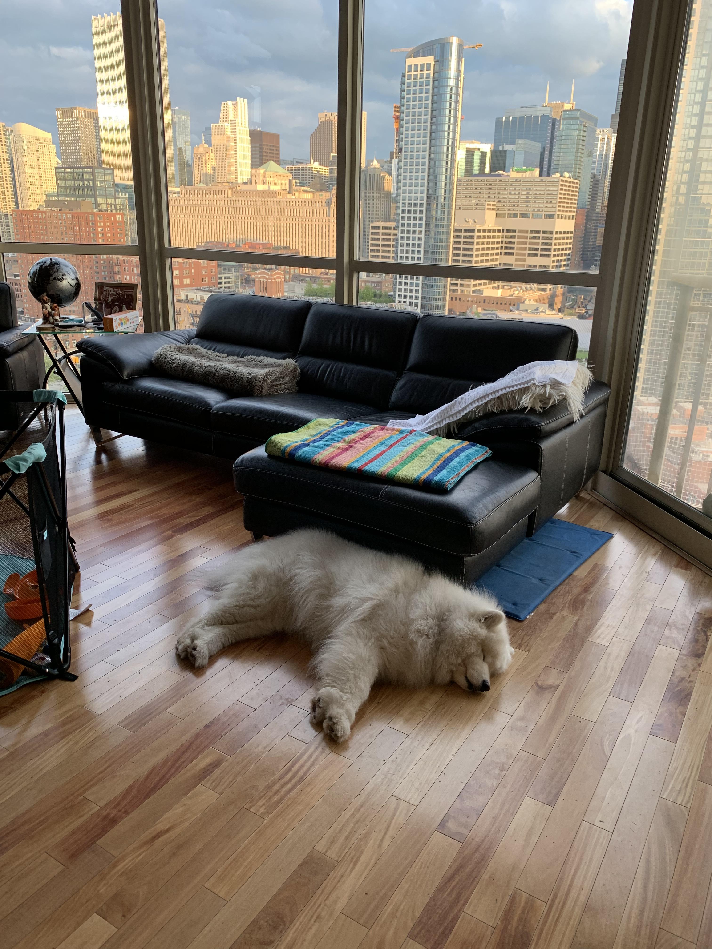 Ruff weekend | Scrolller