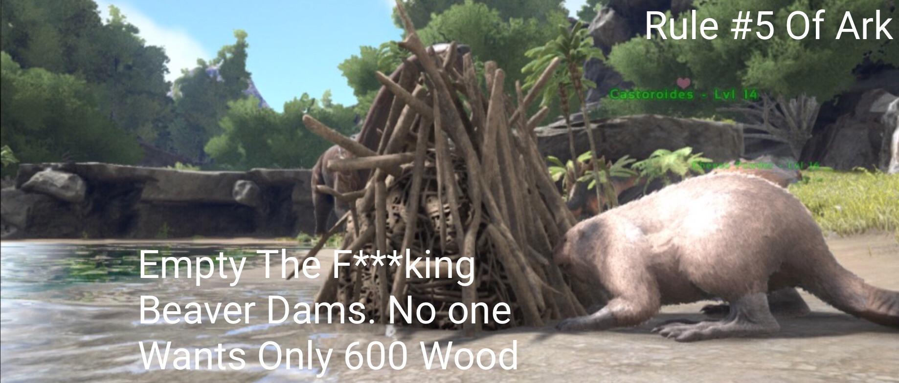 Rule #5 of Ark | Scrolller