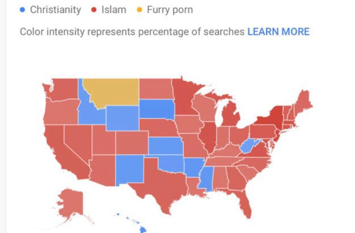 WTF MONTANA !!!!!!????? | Scrolller
