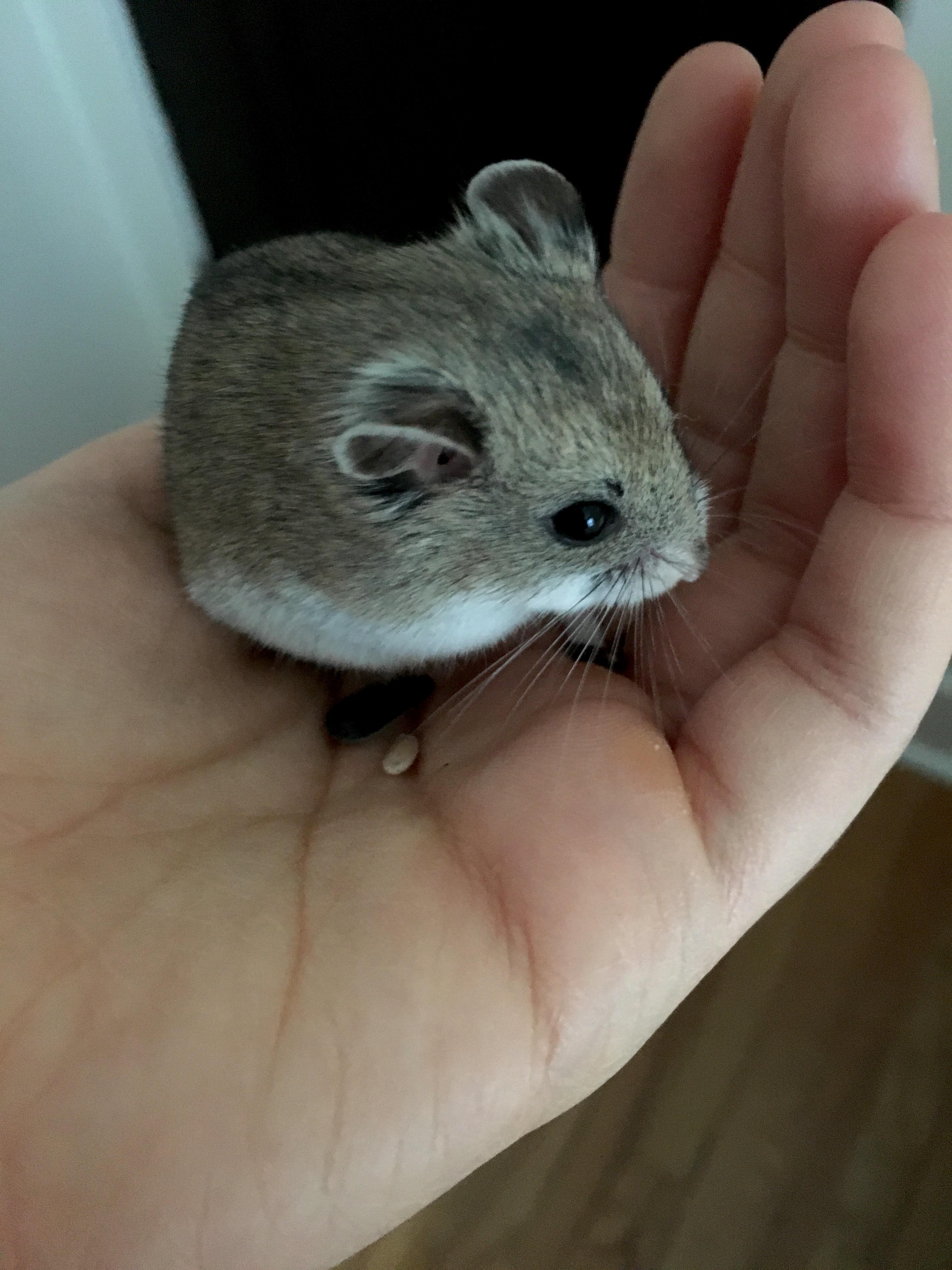 s p h e r e | Scrolller