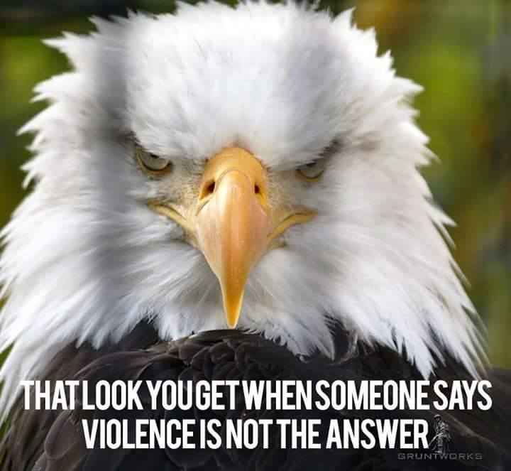 Sad eagle noises. | Scrolller