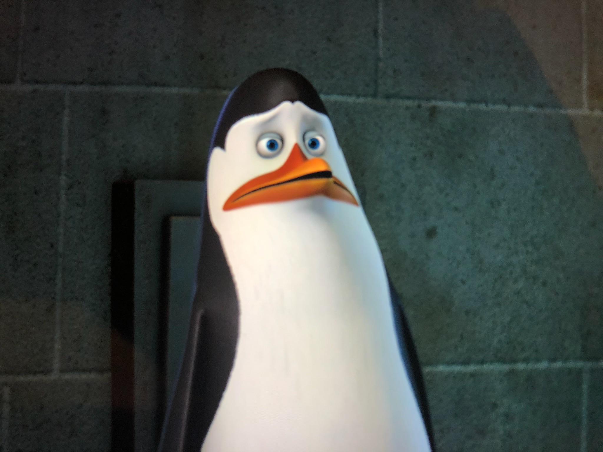 Sad Kowalski | Scrolller