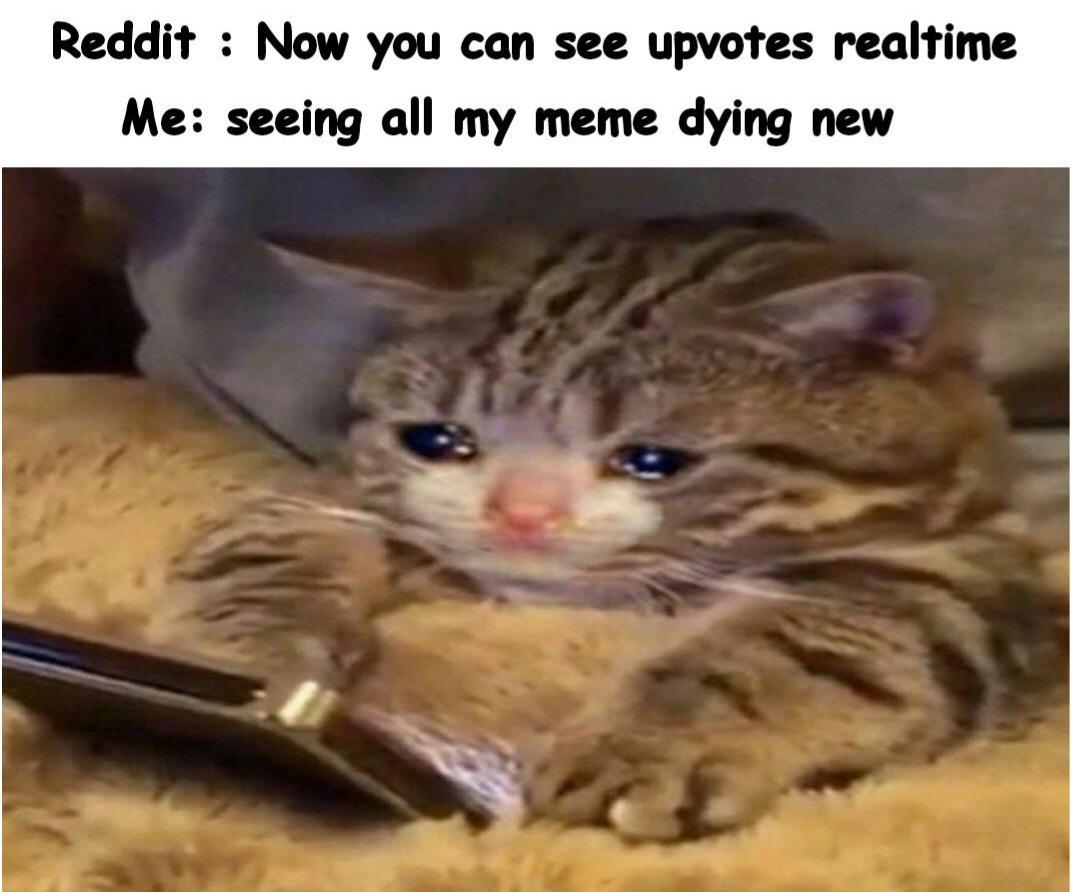 Sad noises | Scrolller