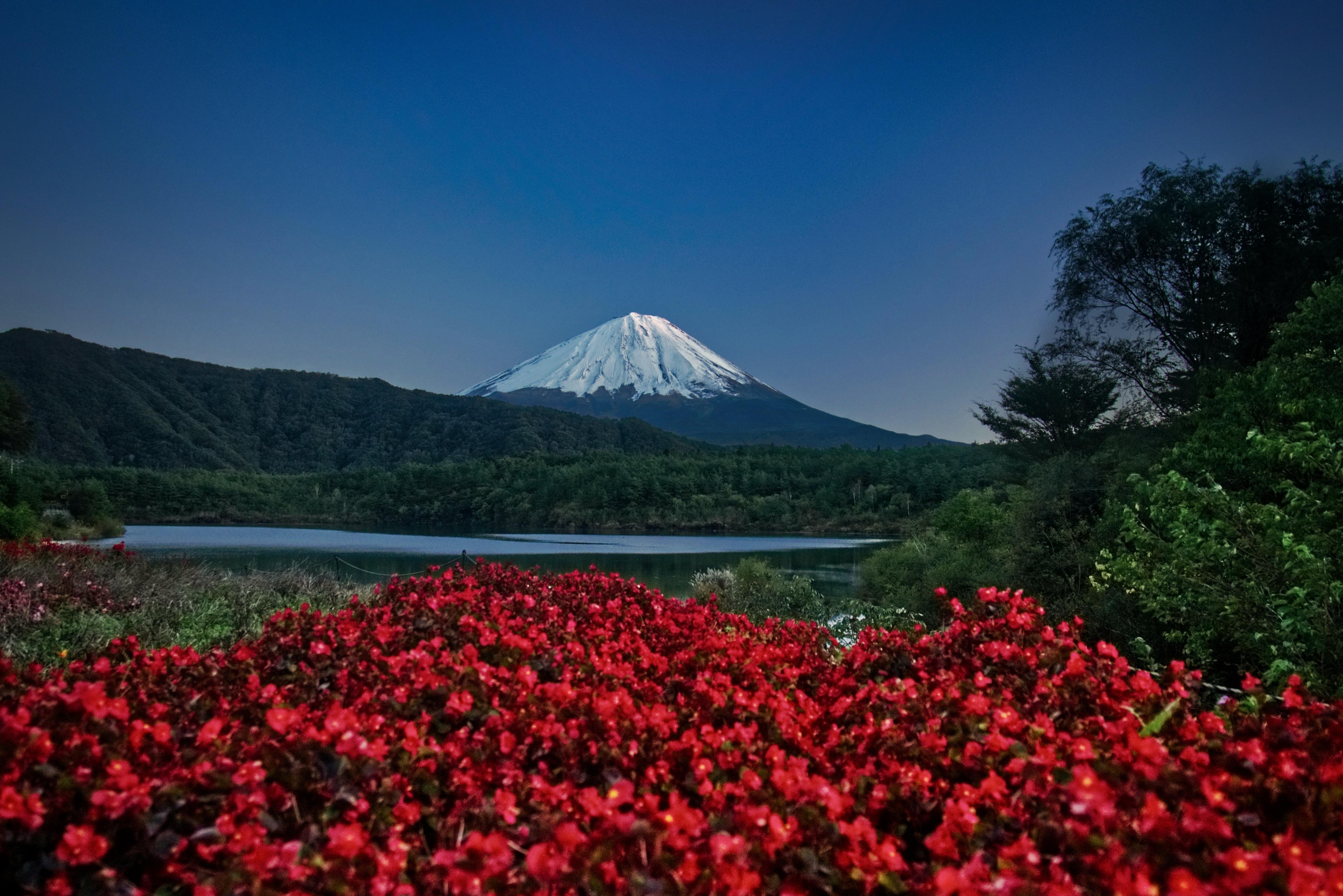 Saiko dusk | Scrolller