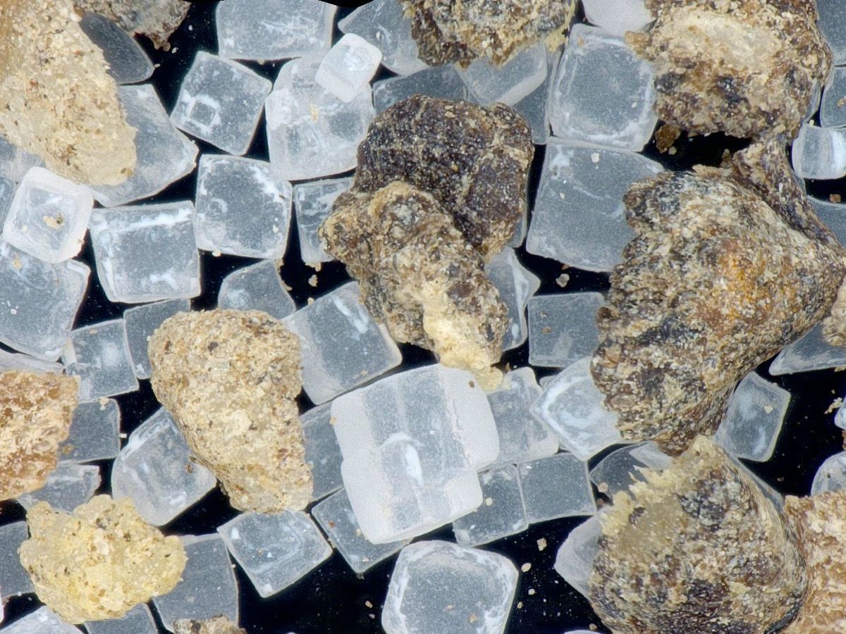 Salt and Pepper [1200x900] [OC] | Scrolller