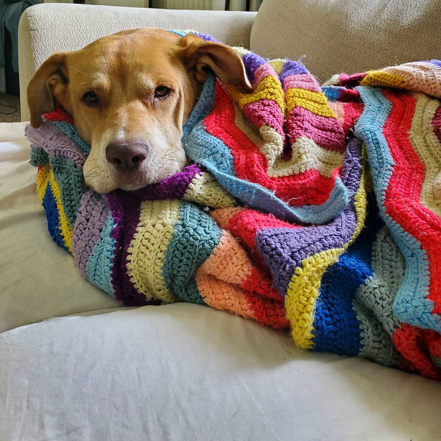 Sam the squish | Scrolller