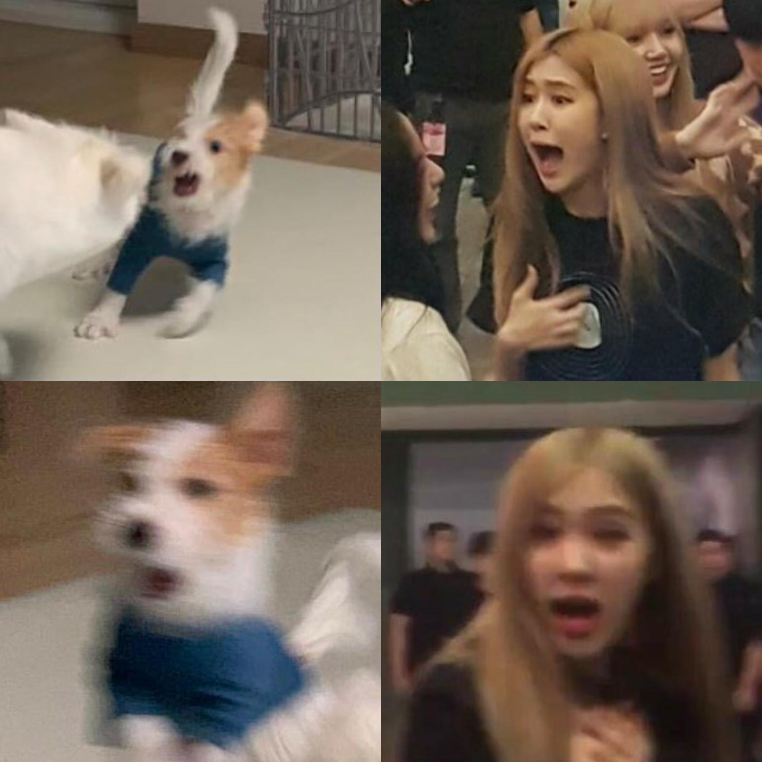 Same energy | Scrolller