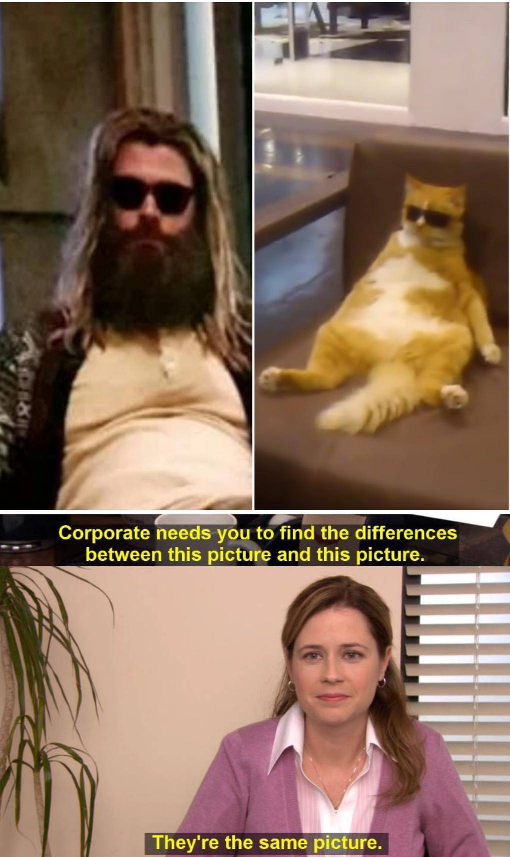 Same energy same depression same health same everything | Scrolller