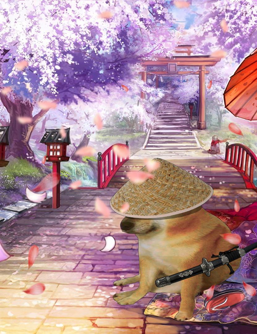 Samurai cheems | Scrolller