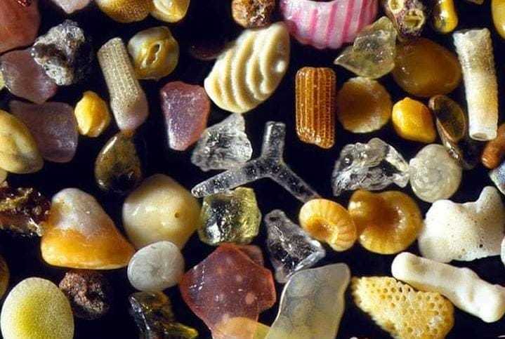 Sand under microscope | Scrolller