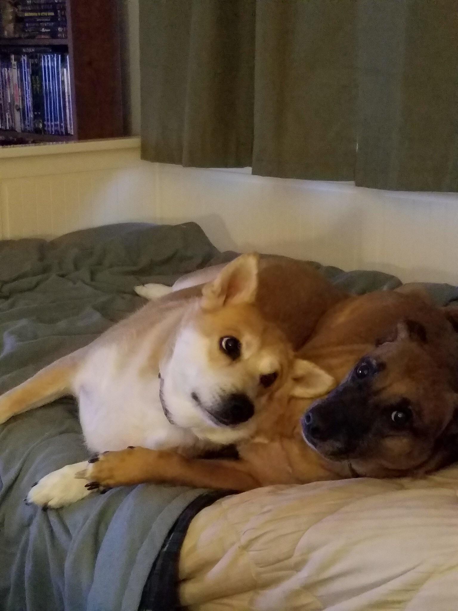 Sasha mirin Emmett. | Scrolller