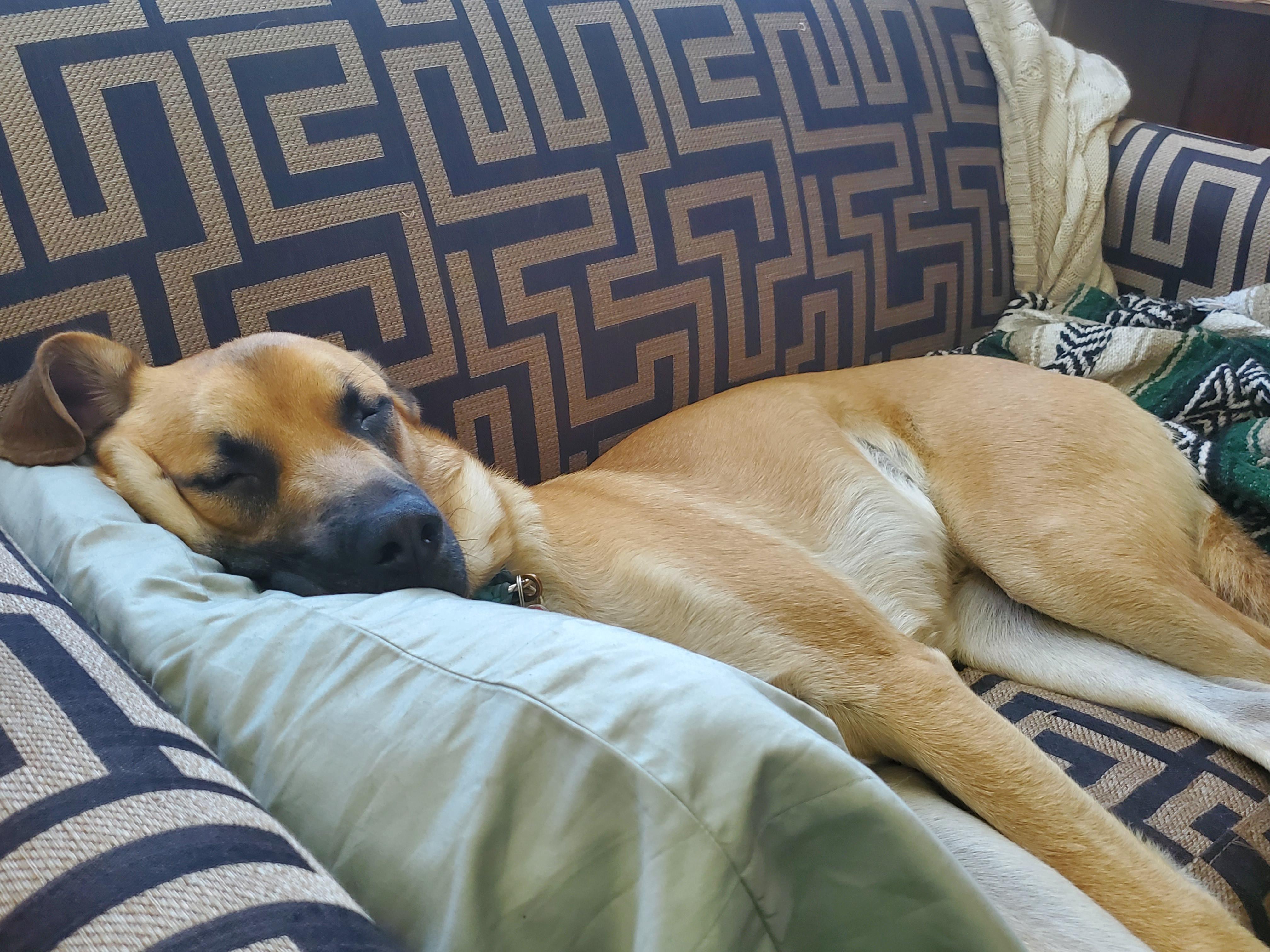 Saturday morning squishy vibes | Scrolller