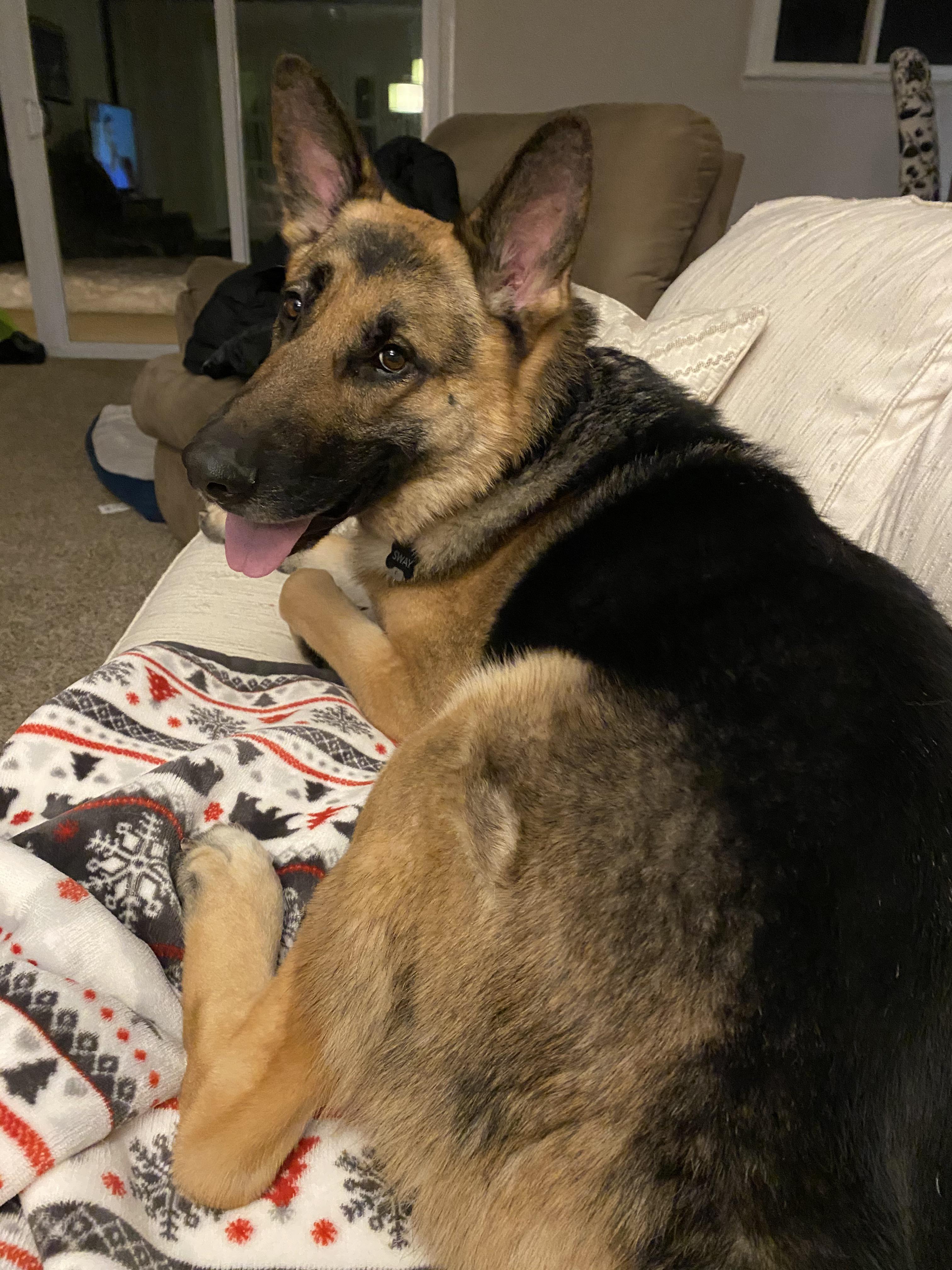 Saturday night snuggle | Scrolller