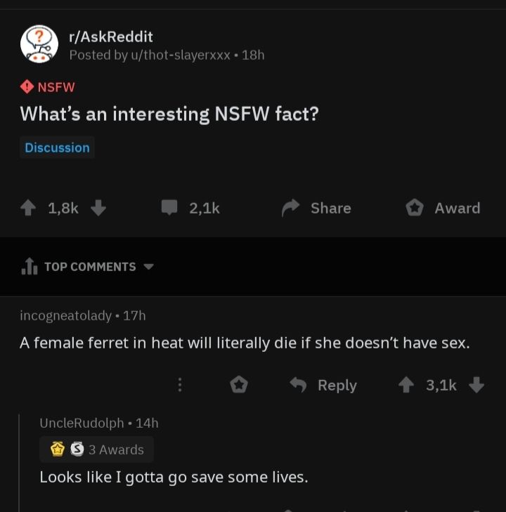 Saving animals | Scrolller