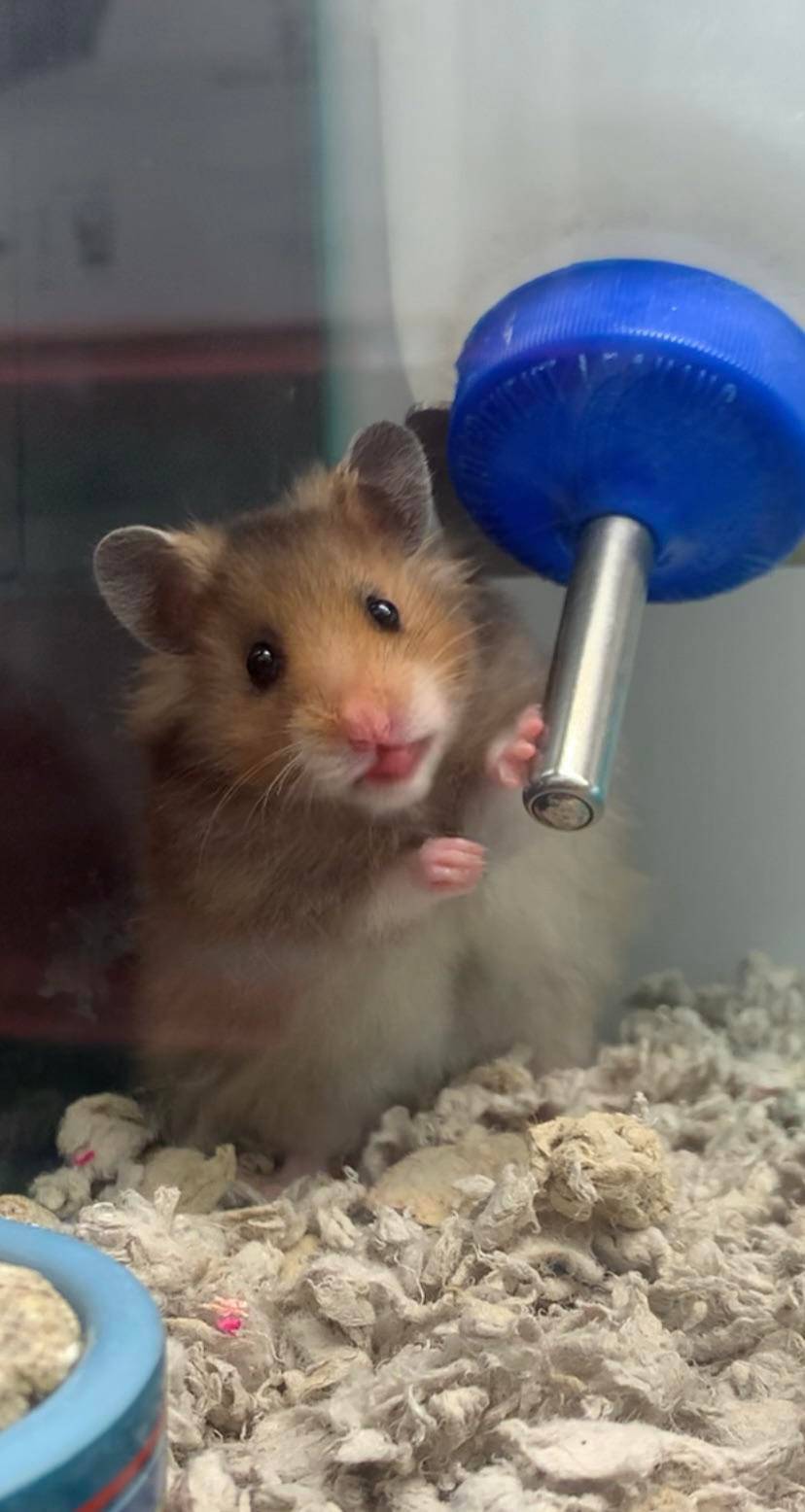 saw this handsome guy at the pet store today | Scrolller