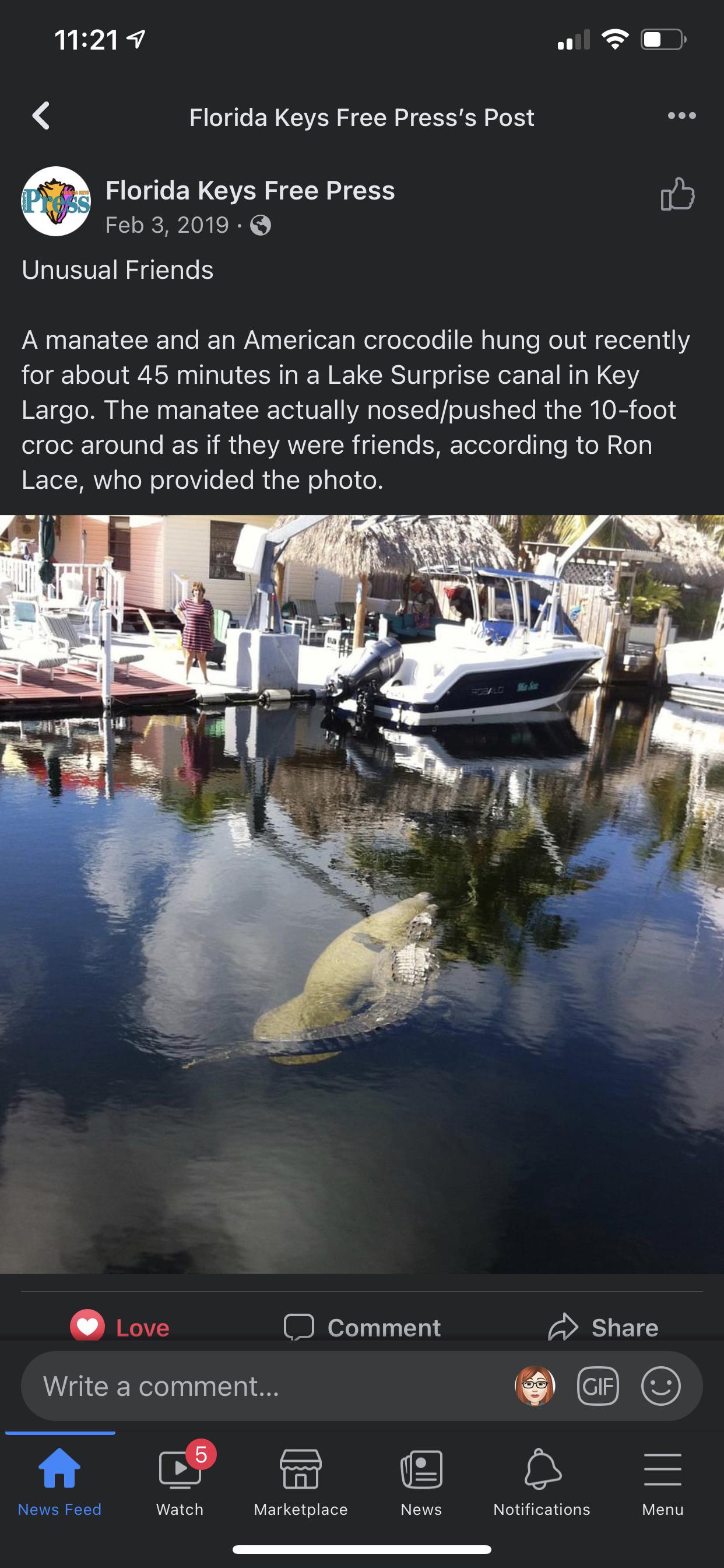 Saw this on Facebook today. Seemed appropriate. | Scrolller