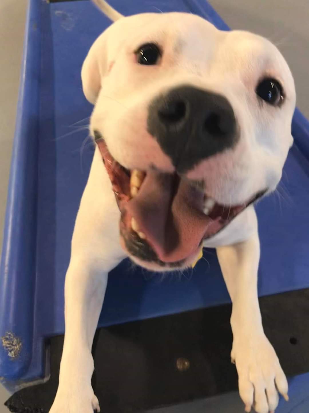 Say cheese! | Scrolller