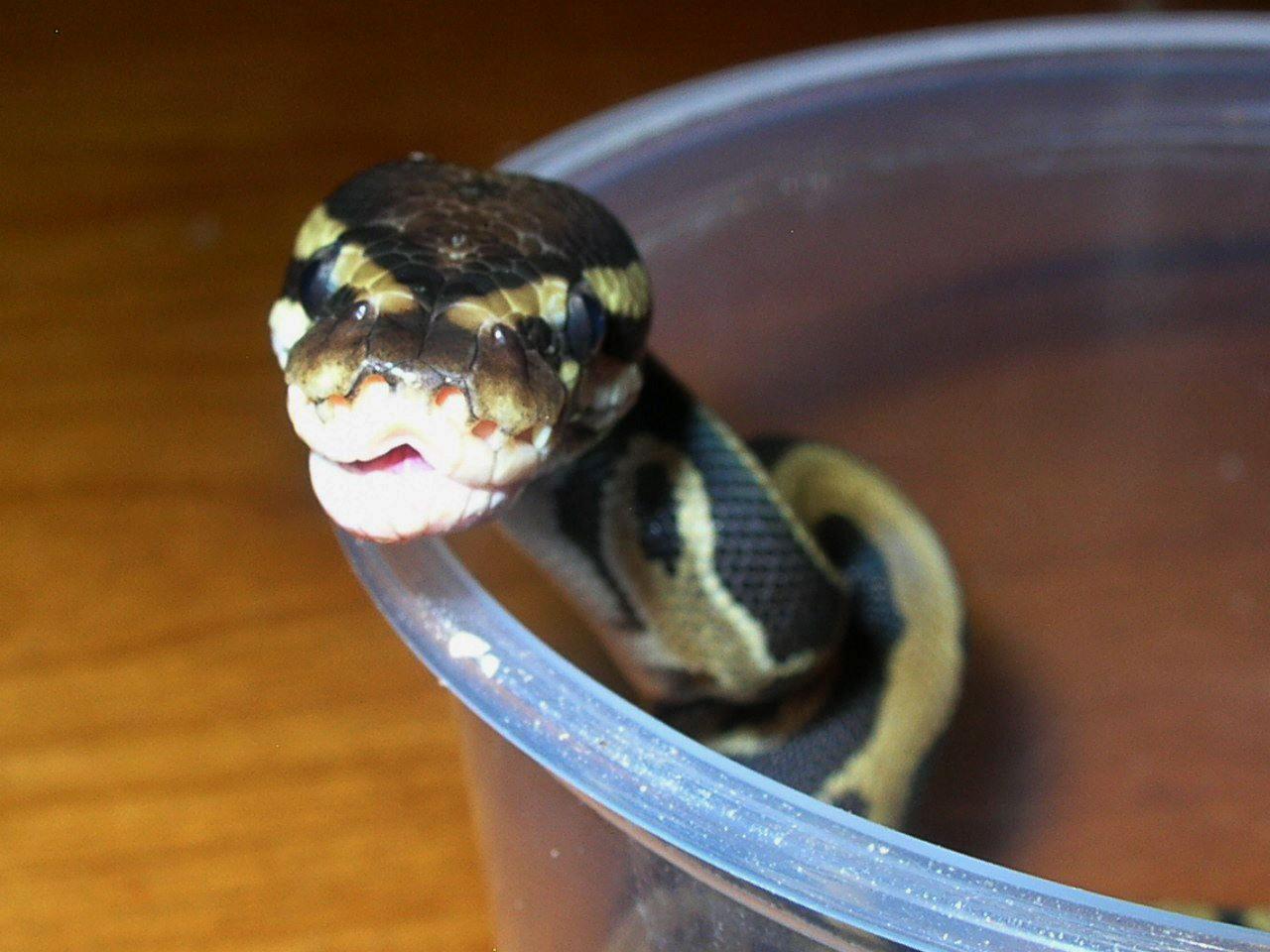 Say cheese! | Scrolller