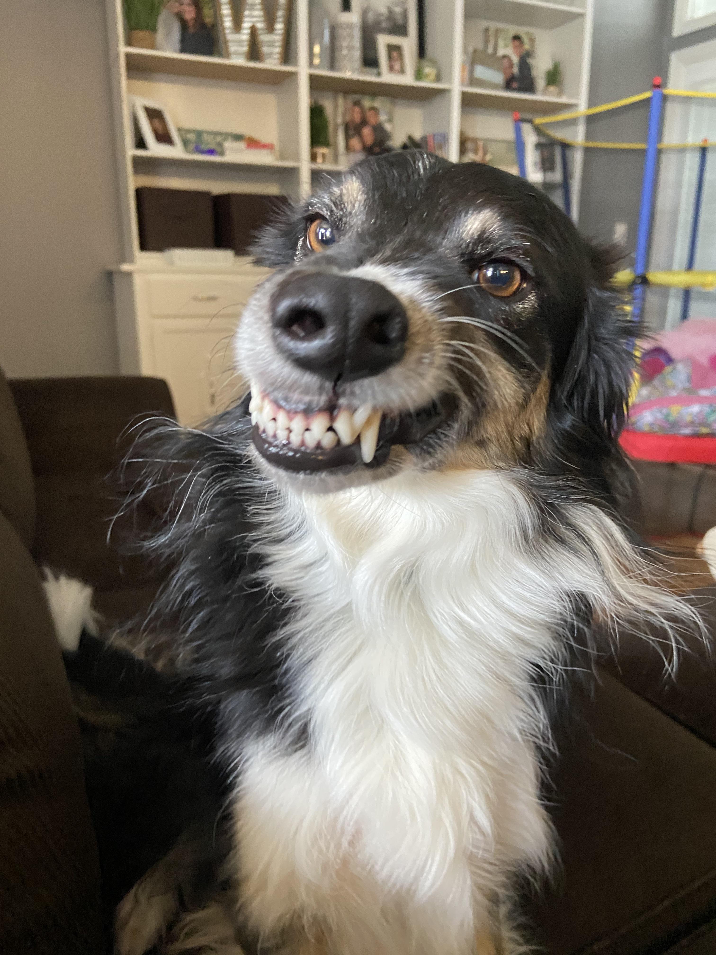 Say cheese! | Scrolller