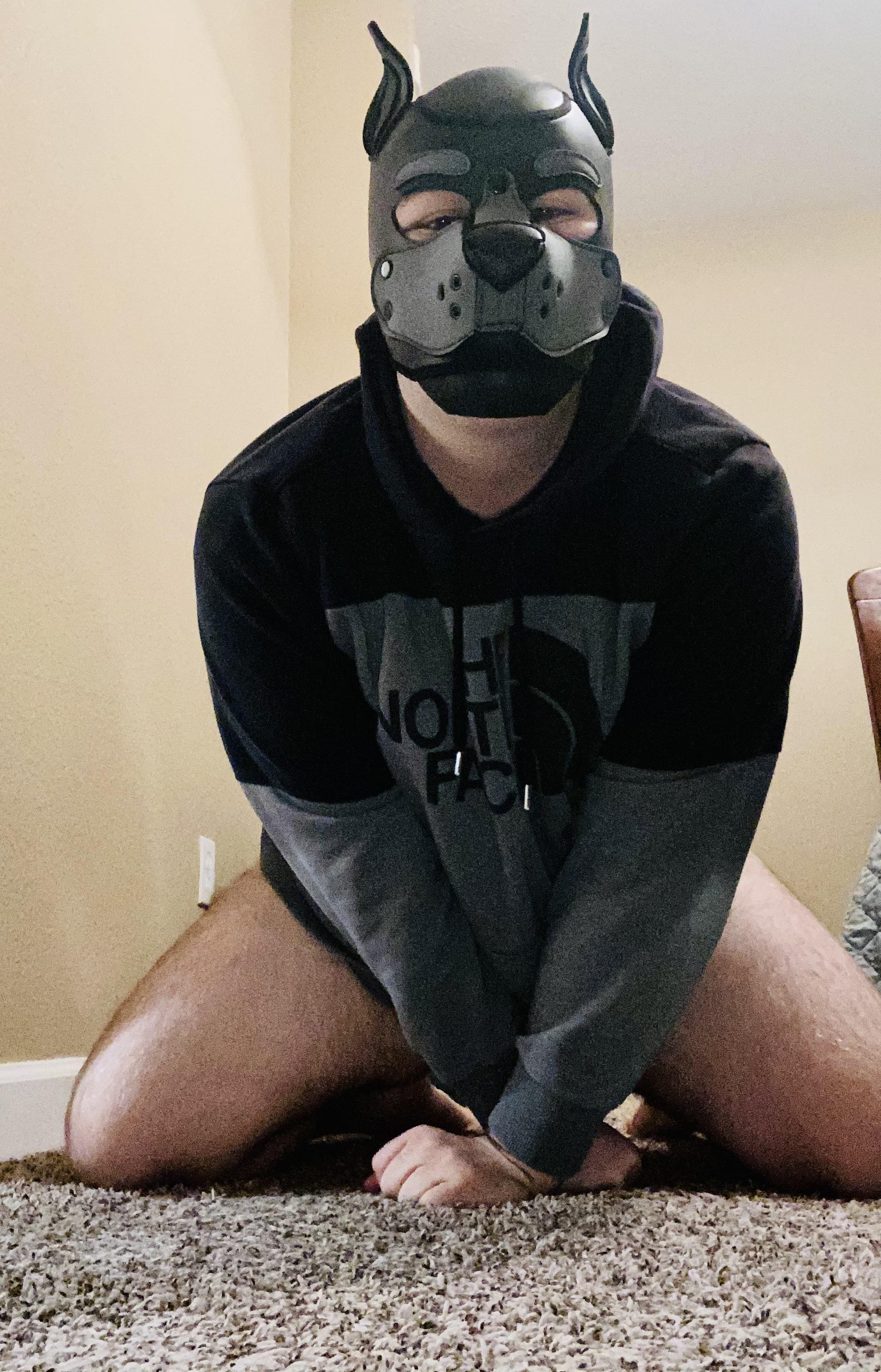 Say, “Goodnight, Pupper!” | Scrolller