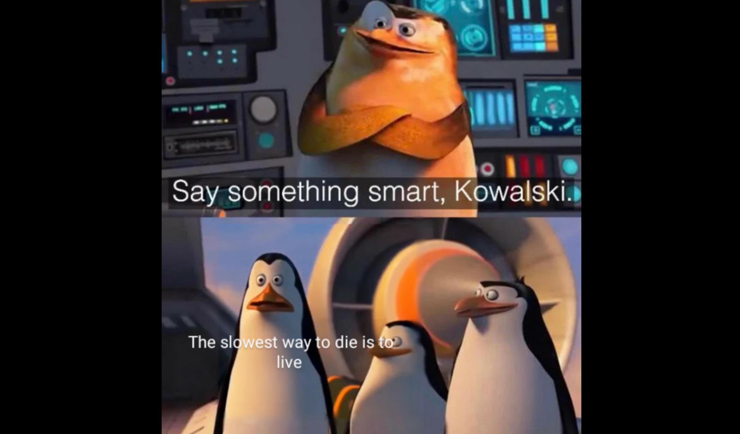 Say something smart, Kowalski | Scrolller
